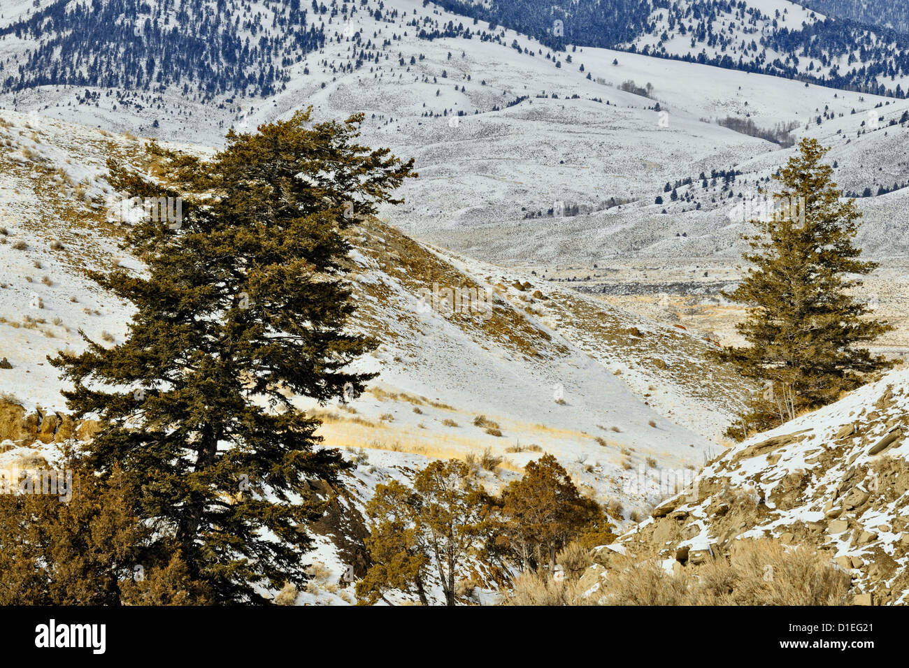 Eroded slopes north entrance yellowstone snow hi-res stock photography ...