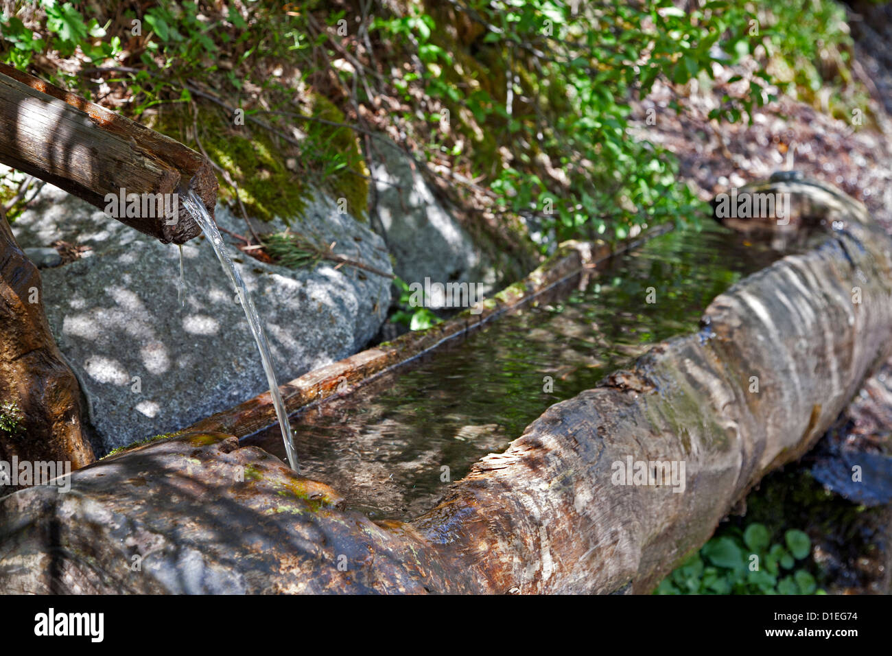 Natural water fountain. Pyrenees. Spain Stock Photo - Alamy