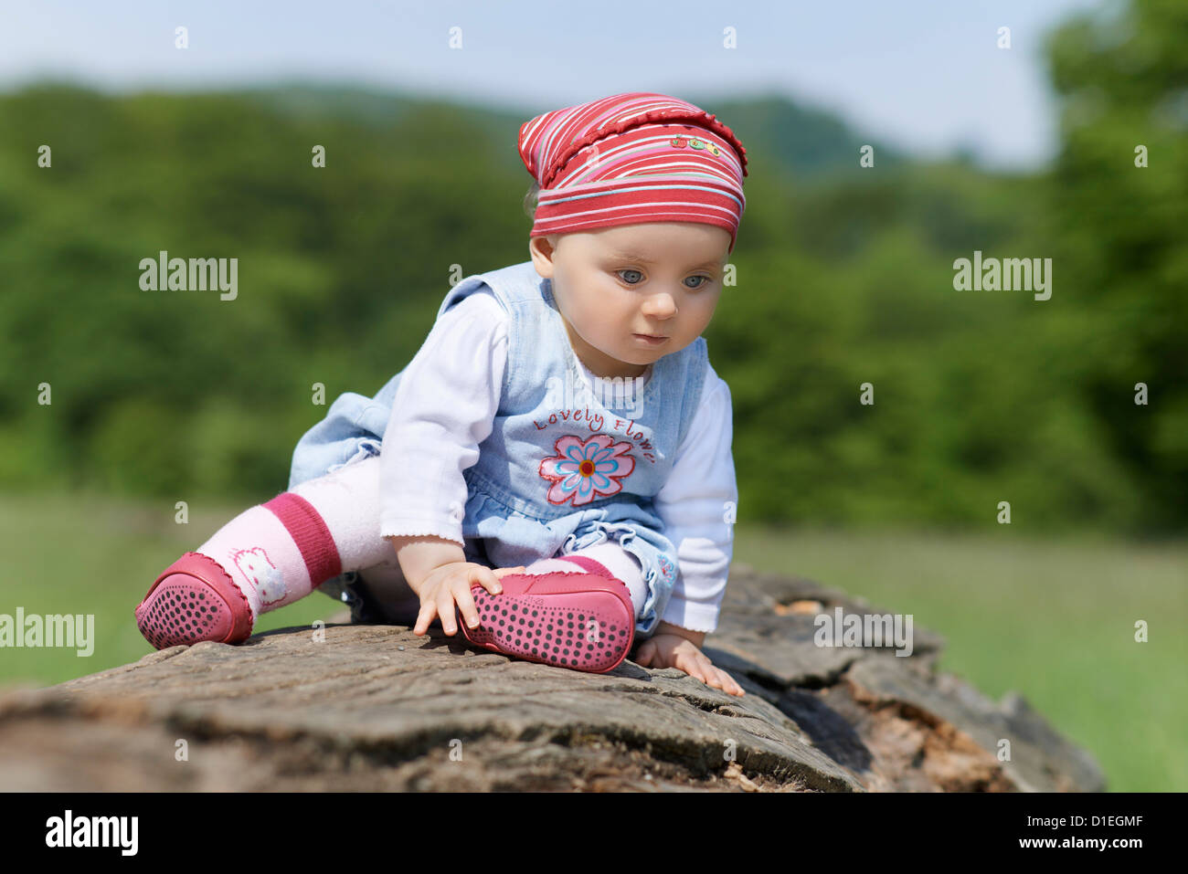 Female baby sitting on tree stump Stock Photo - Alamy