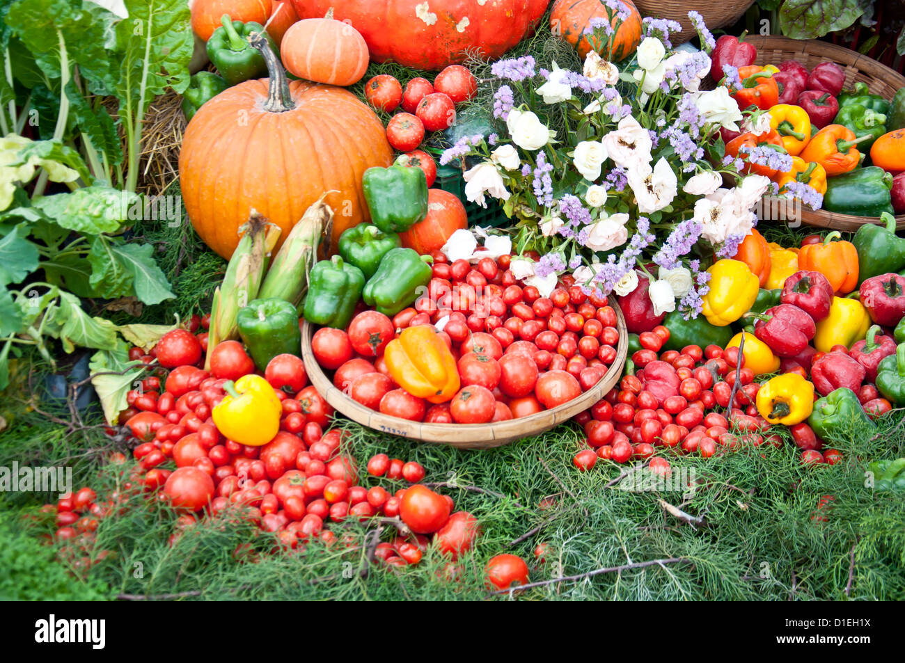 mix vegetable for food Stock Photo - Alamy