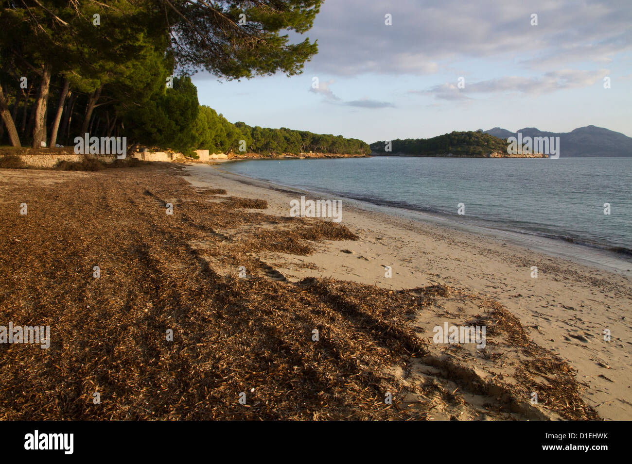 Formentor beach mallorca hi-res stock photography and images - Alamy