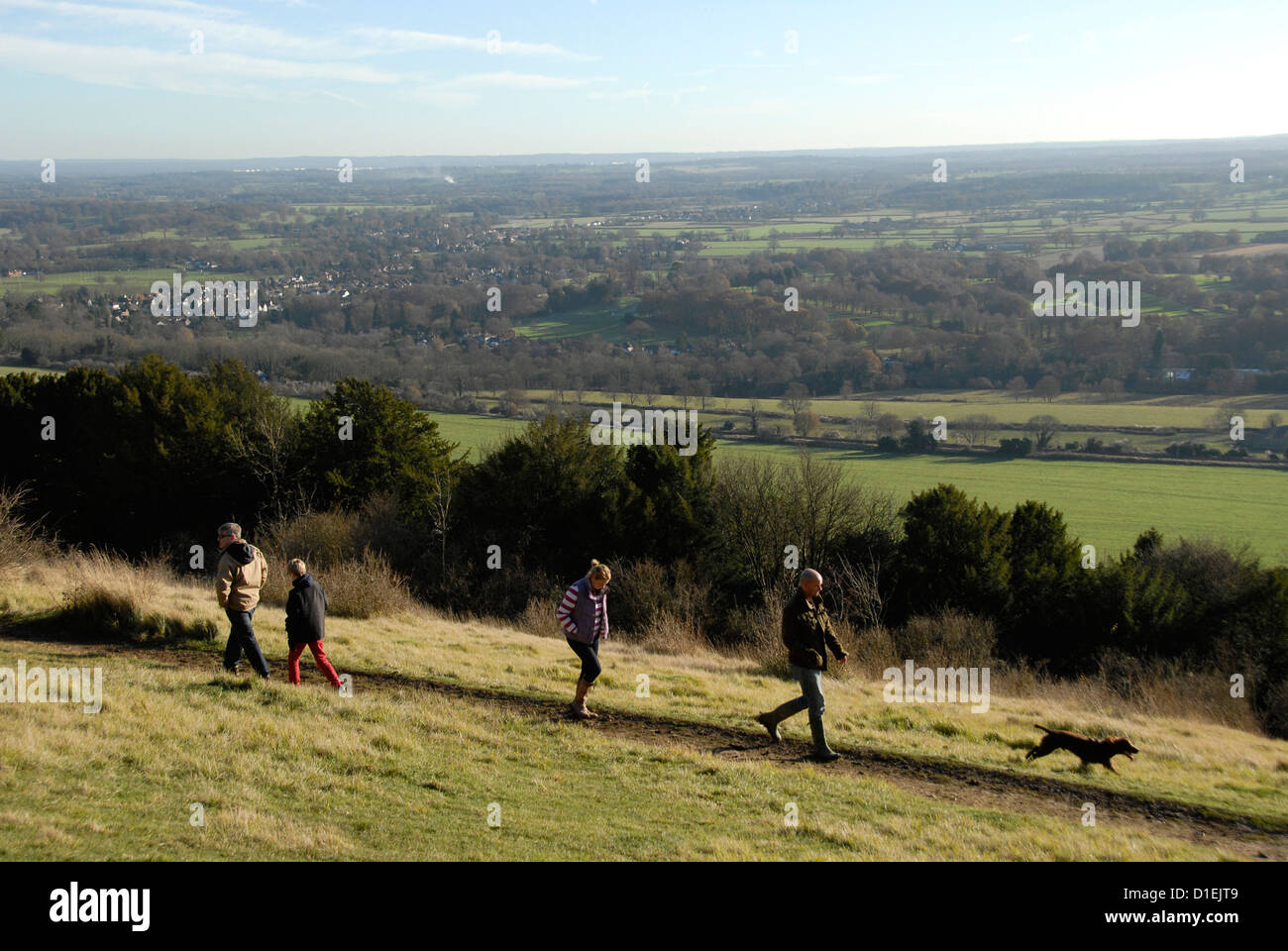 Box hill surrey walk hi-res stock photography and images - Alamy