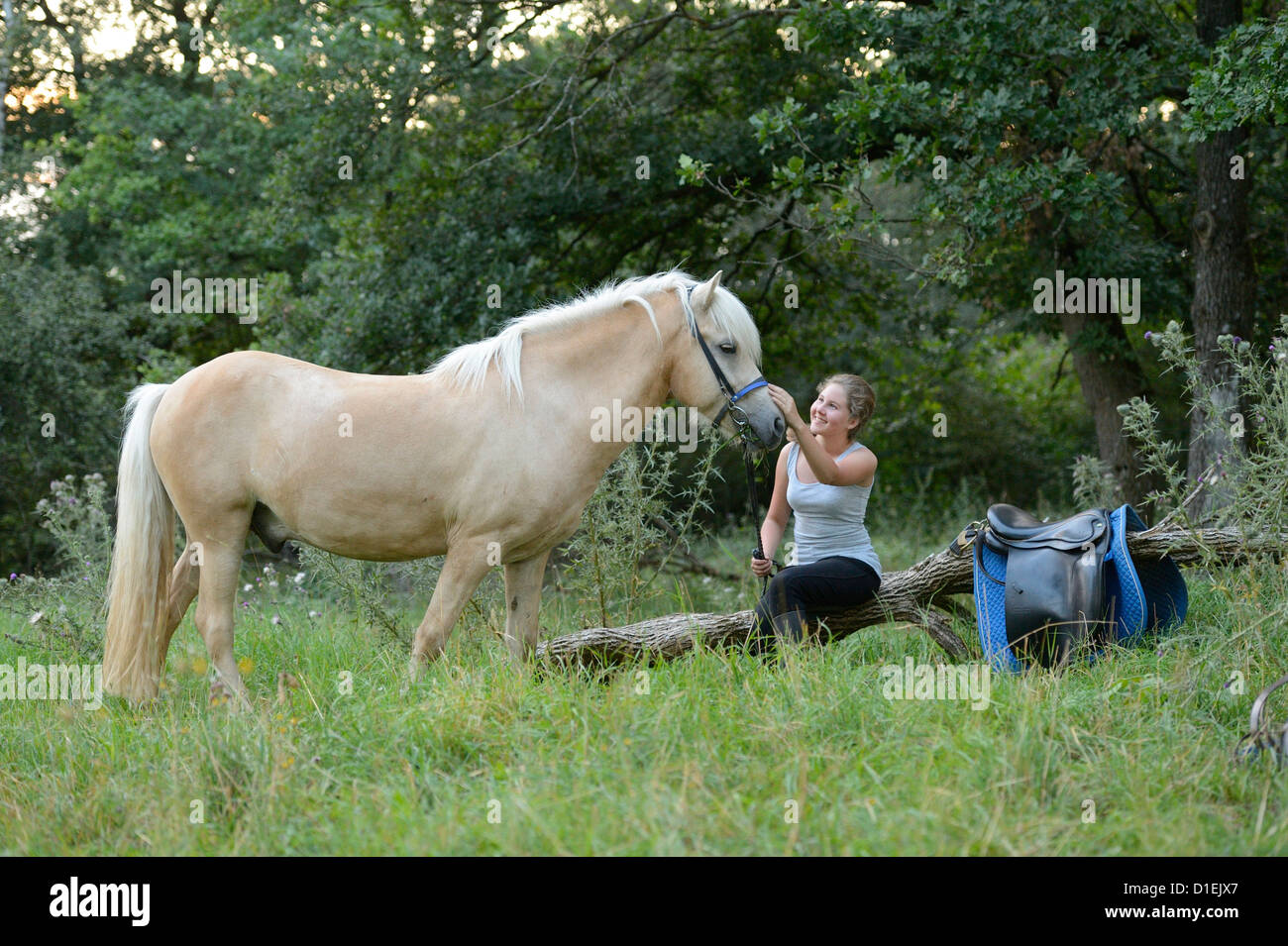 Girl caressing horse Stock Photo - Alamy
