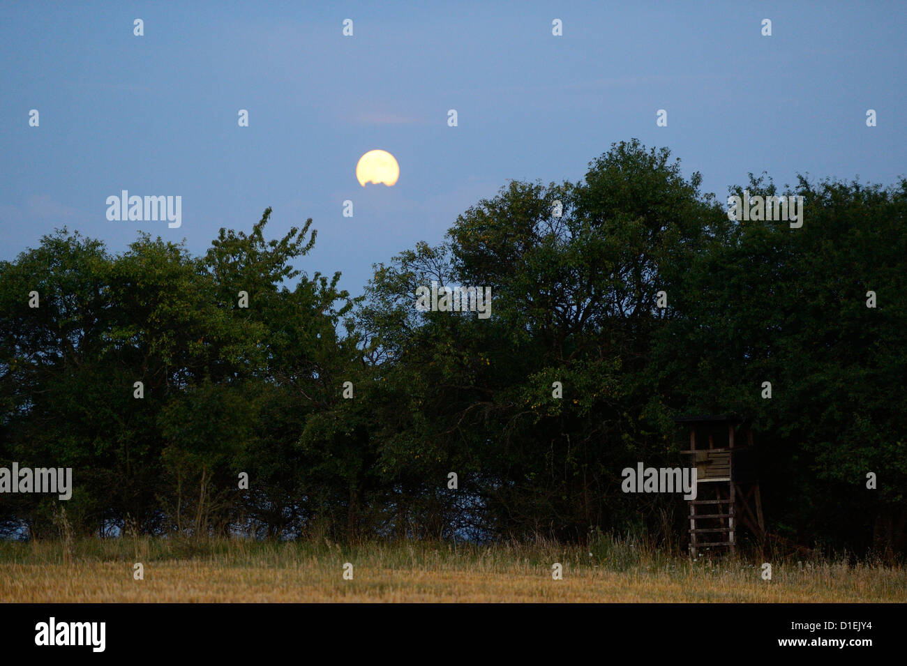 Moon above rural landscape with high seat, Bavaria, Germany Stock Photo ...