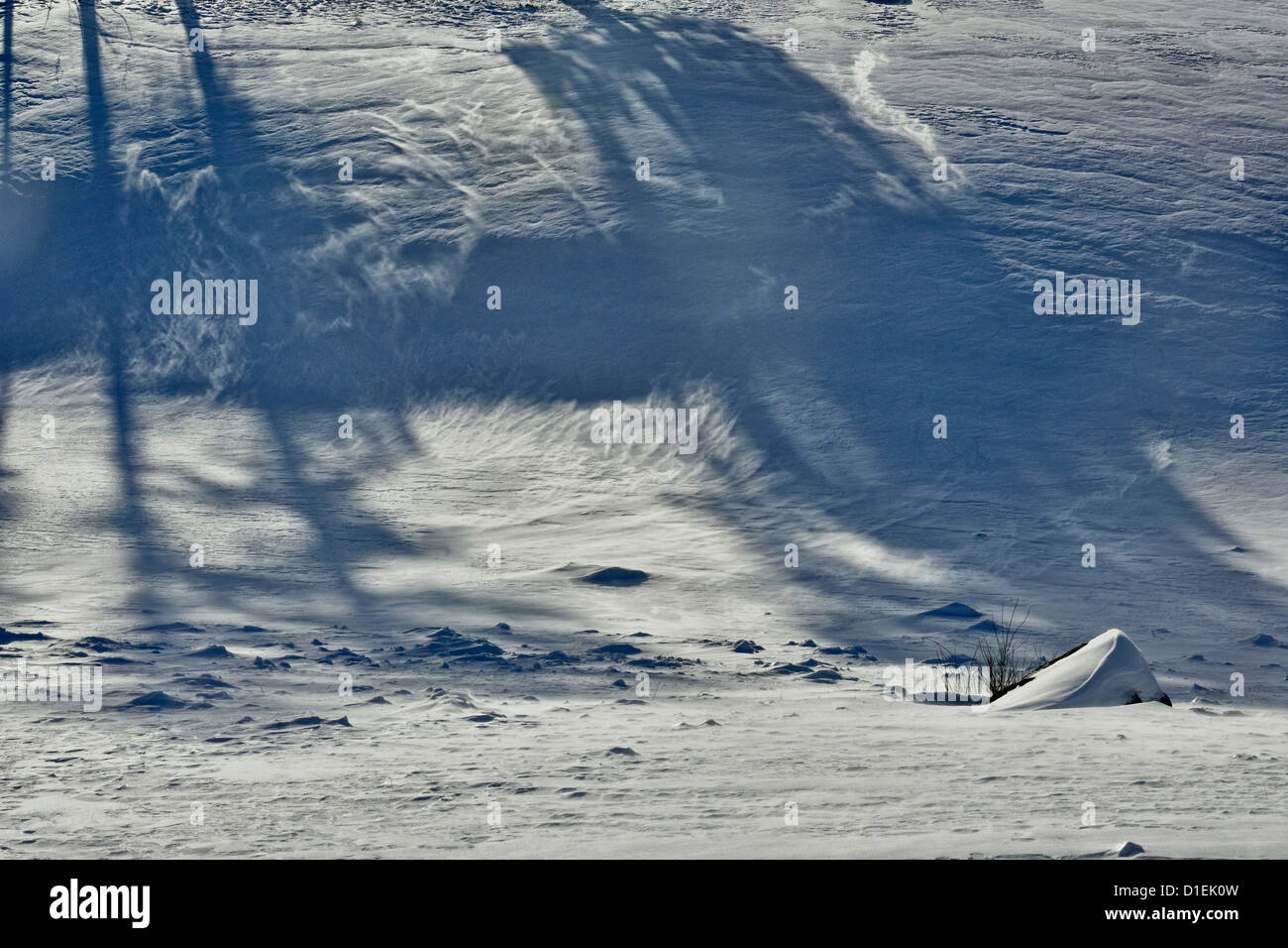 Snow patterns wind blown snow hi-res stock photography and images - Alamy