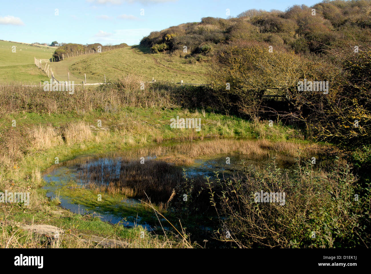 Dew pond on south downs hi-res stock photography and images - Alamy