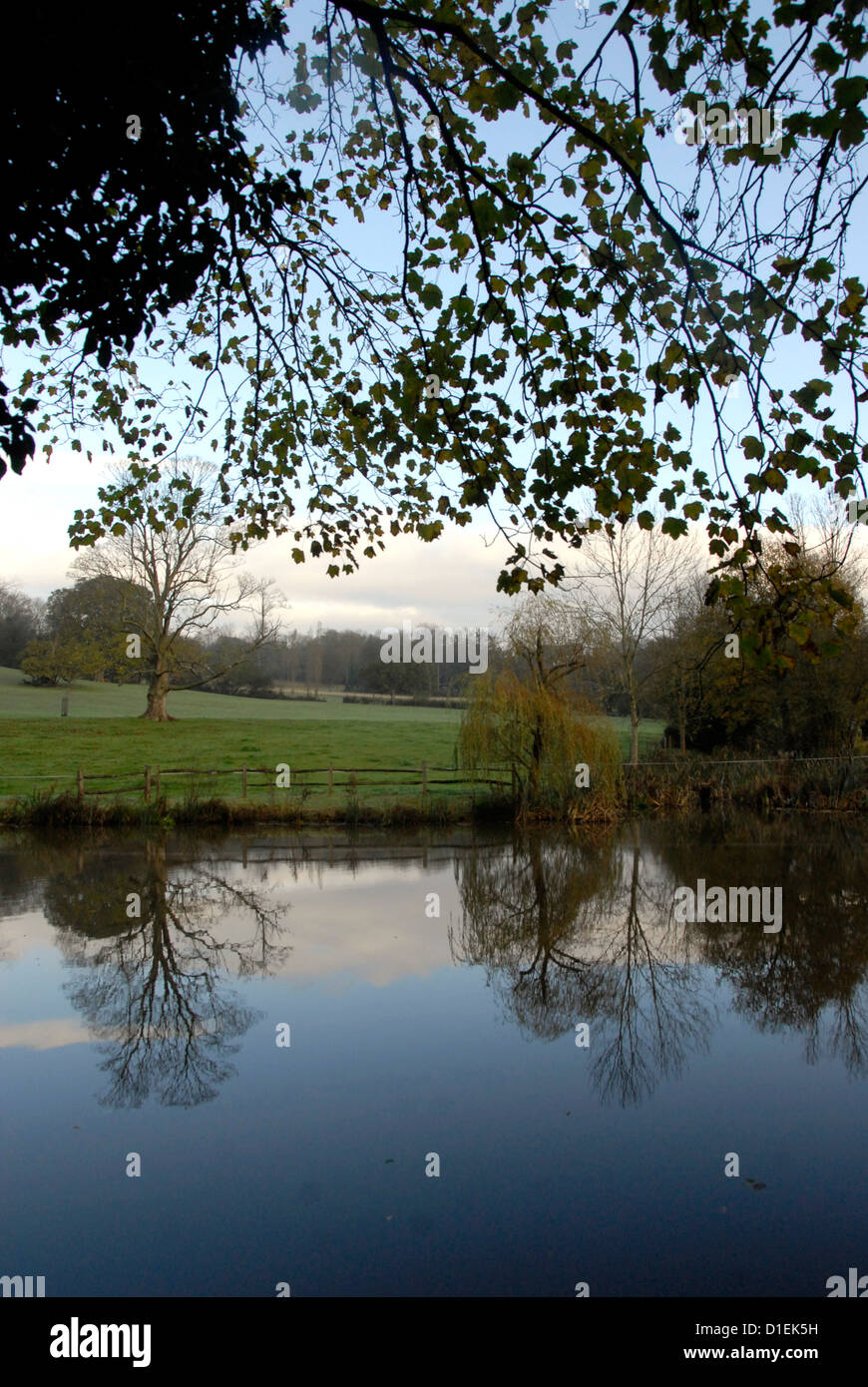 View of pond with trees mid Sussex Countryside, UK Stock Photo - Alamy