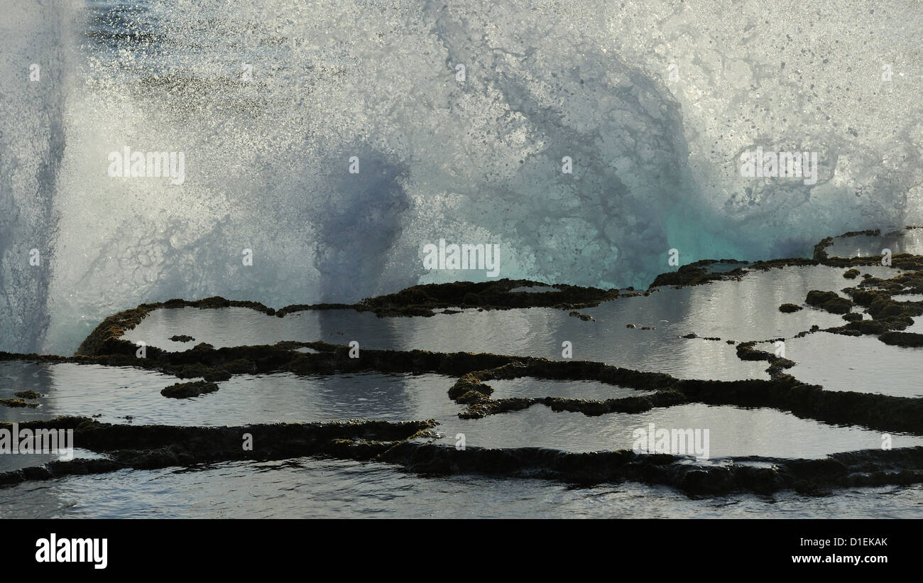 Rockpools surrounding the blowholes known as Mapu 'a Vaea (Vaea's ...