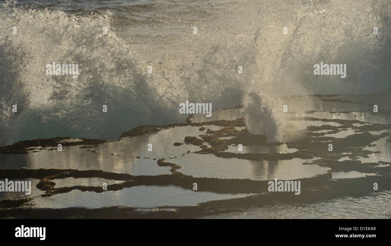 Vaeas whistle hi-res stock photography and images - Alamy