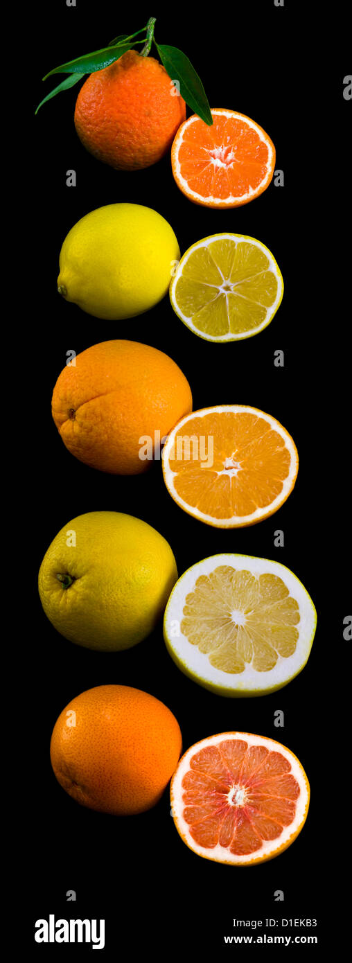 Slices of citric fruits Stock Photo - Alamy