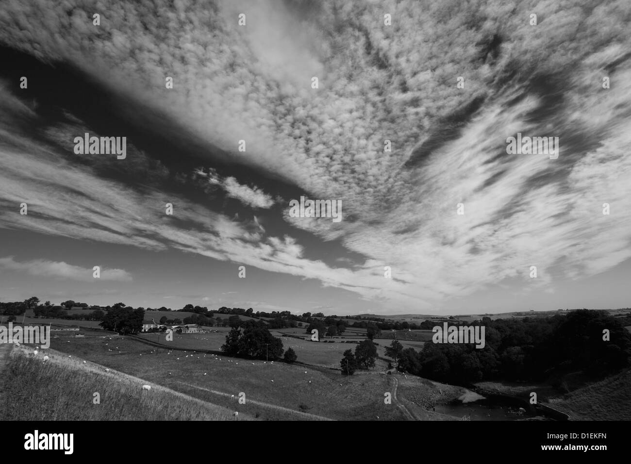 Sunshine blue skies over Black and White Stock Photos & Images - Alamy