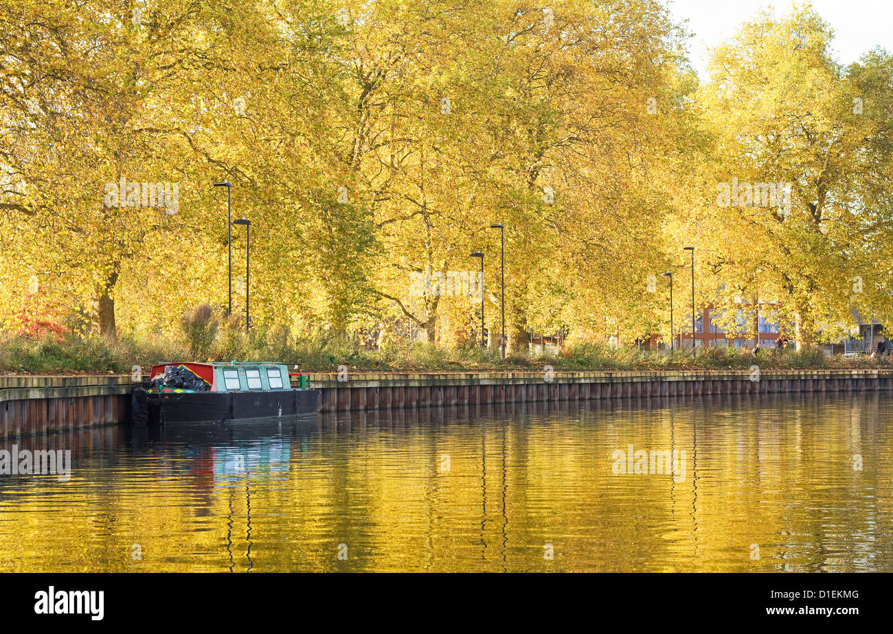Autumn trees, canal boat and their reflection in River Lee, Hackney ...
