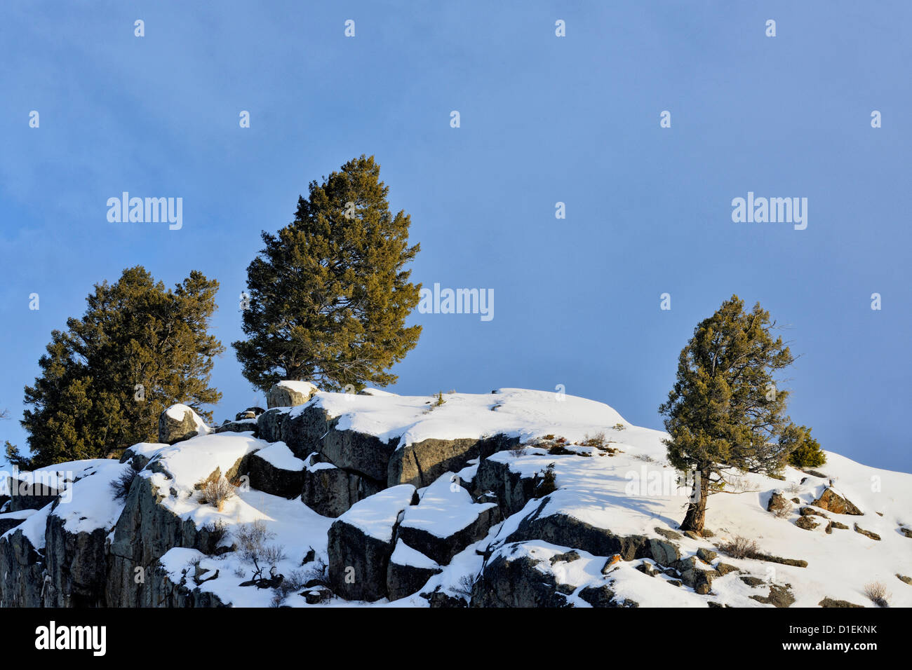 Rock outcrops and fresh snow in the Lamar Canyon, Yellowstone National ...