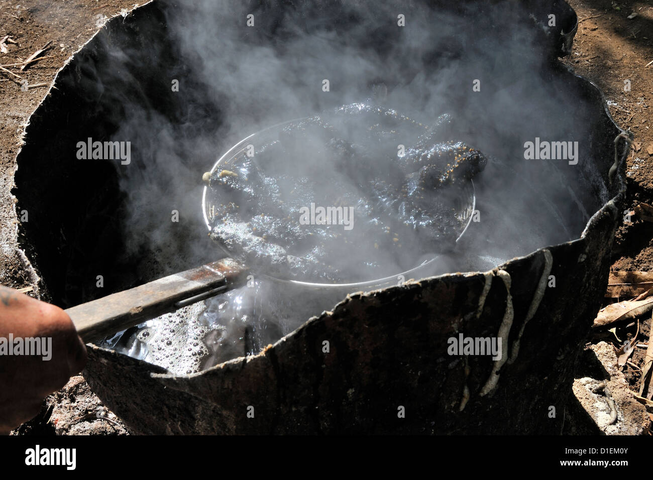 Sea cucumber china hi-res stock photography and images - Alamy