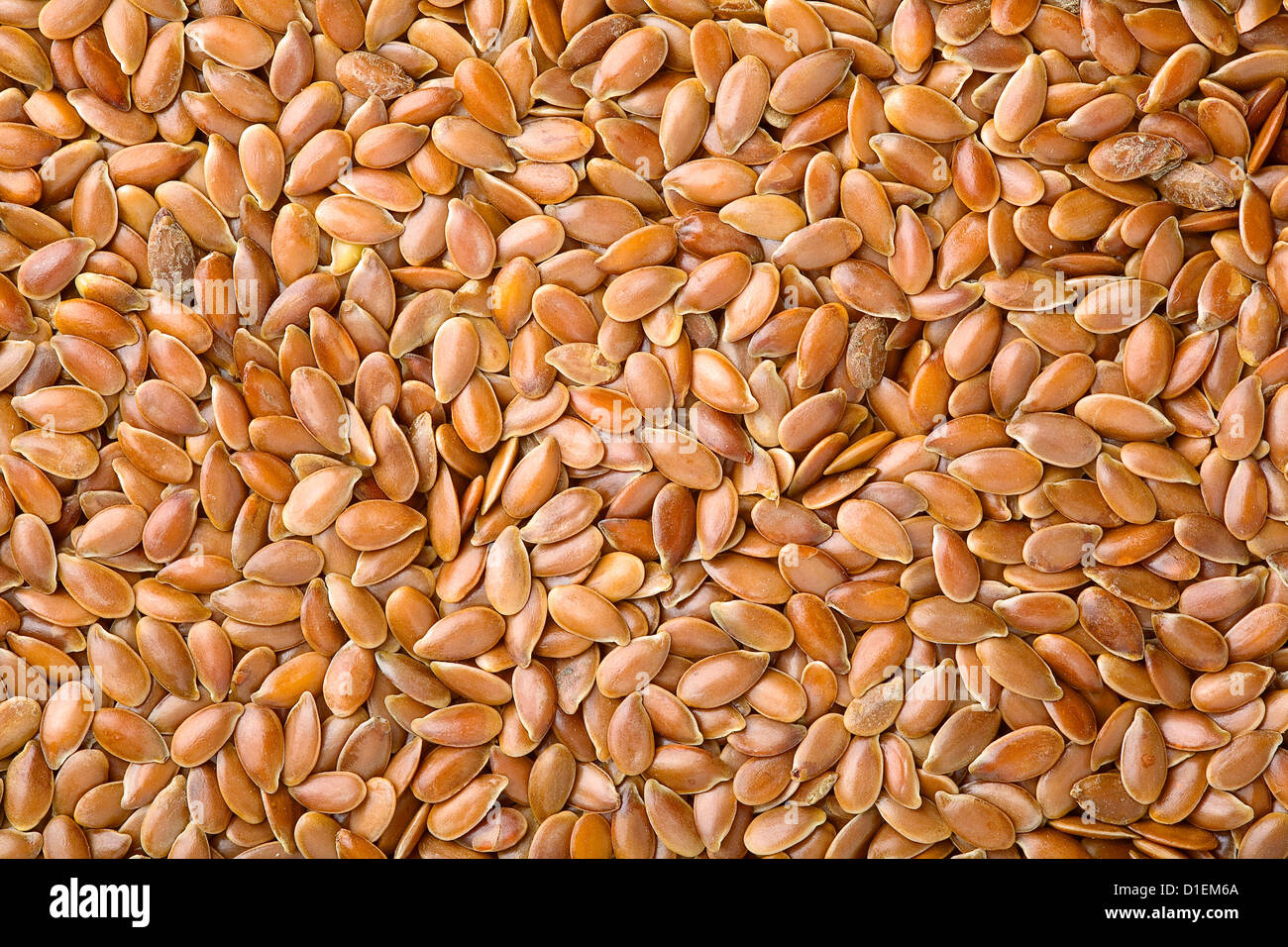 Flaxseed flax seed hi-res stock photography and images - Alamy