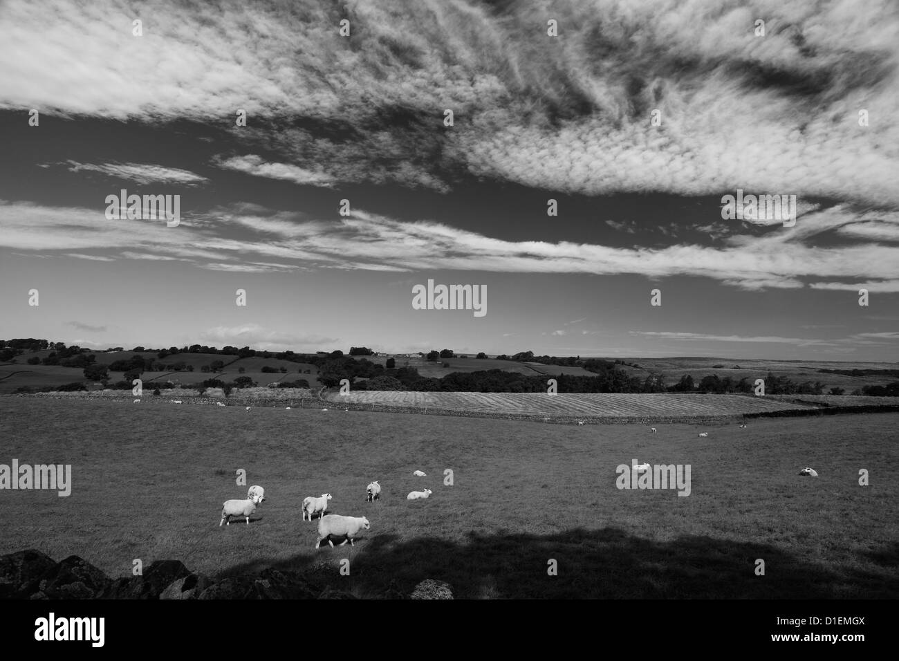 Great panoramic view outstanding Black and White Stock Photos & Images ...