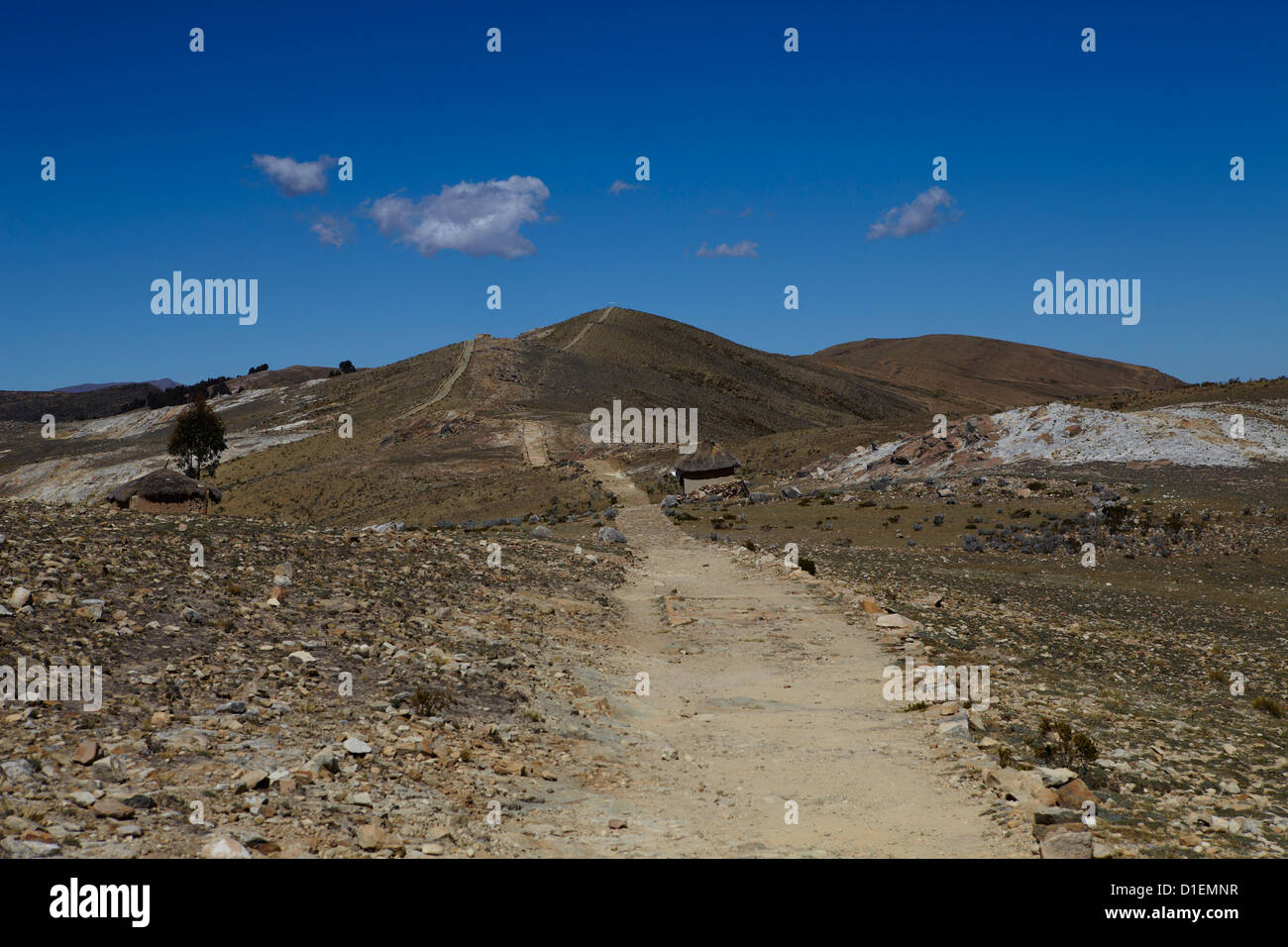 Titicacasee, Bolivia, South America, America Stock Photo - Alamy