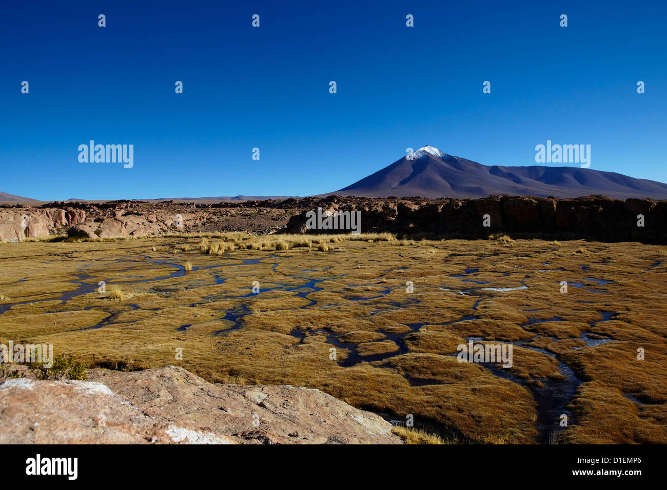 Eduardo avaroa national park hi-res stock photography and images - Alamy