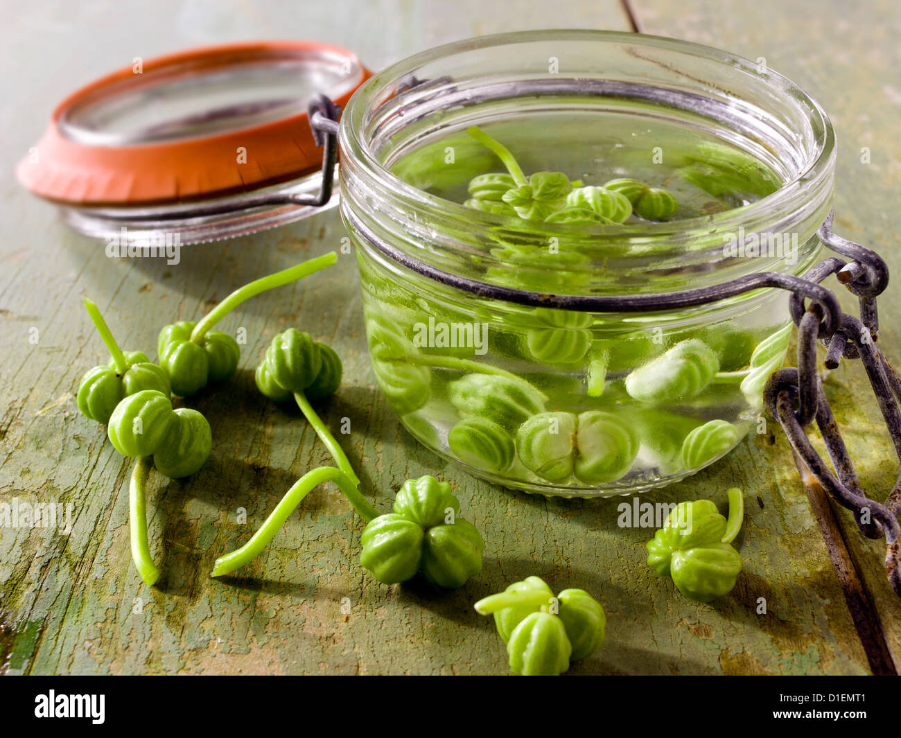 Prepared for pickling hi-res stock photography and images - Alamy