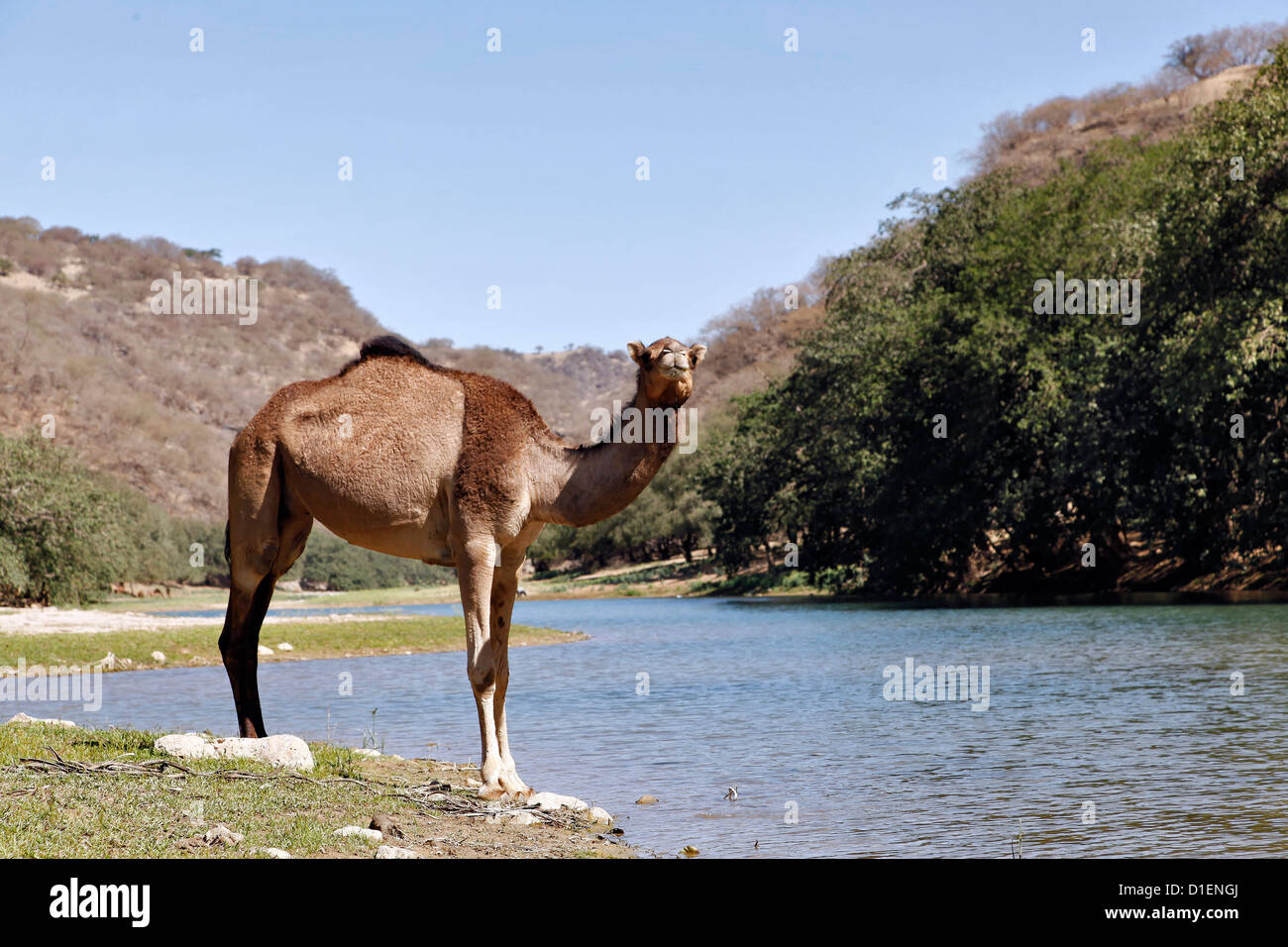 Wadi River High Resolution Stock Photography and Images - Alamy