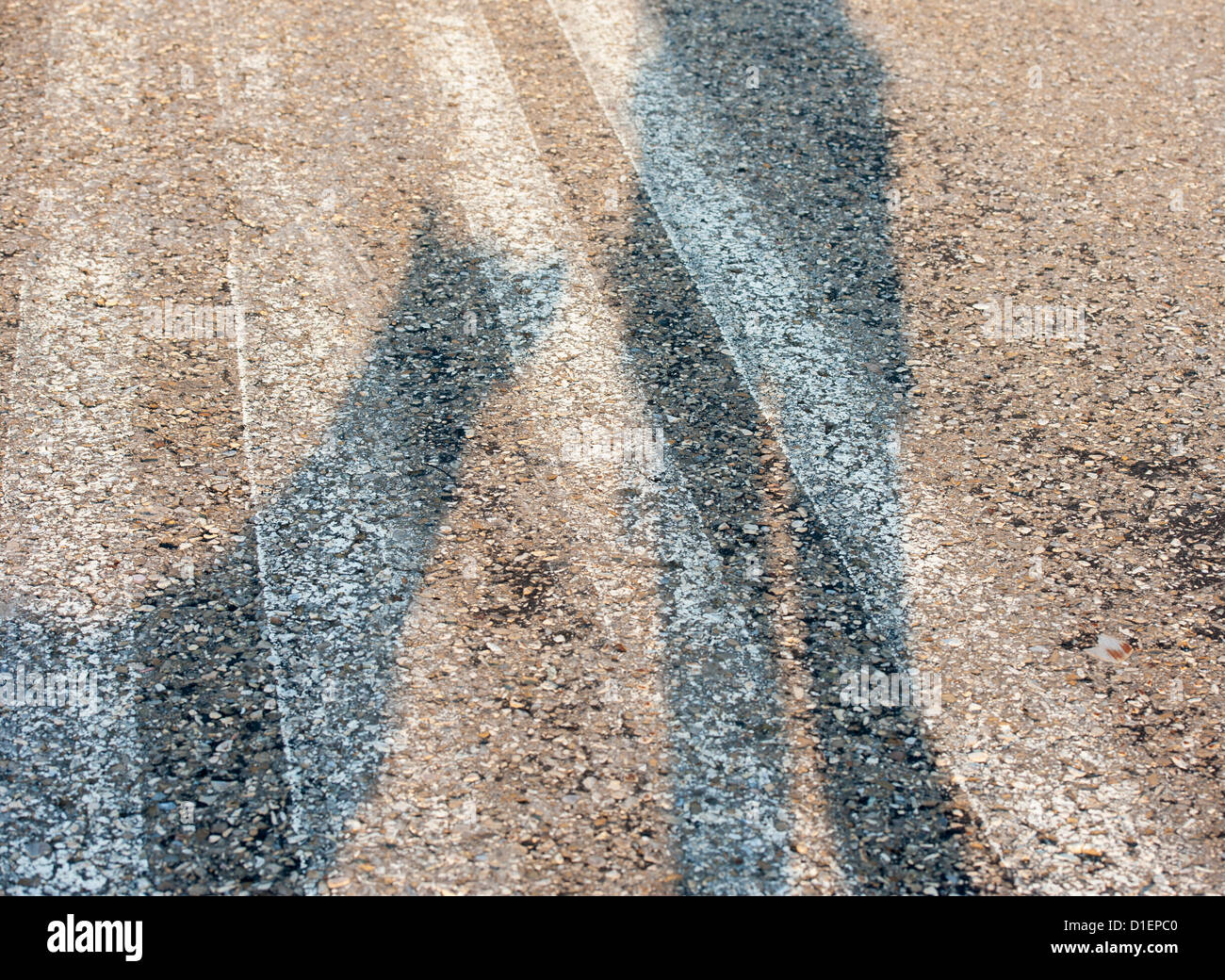 A dog looking up at it's owner, seen as their two adjacent shadows ...