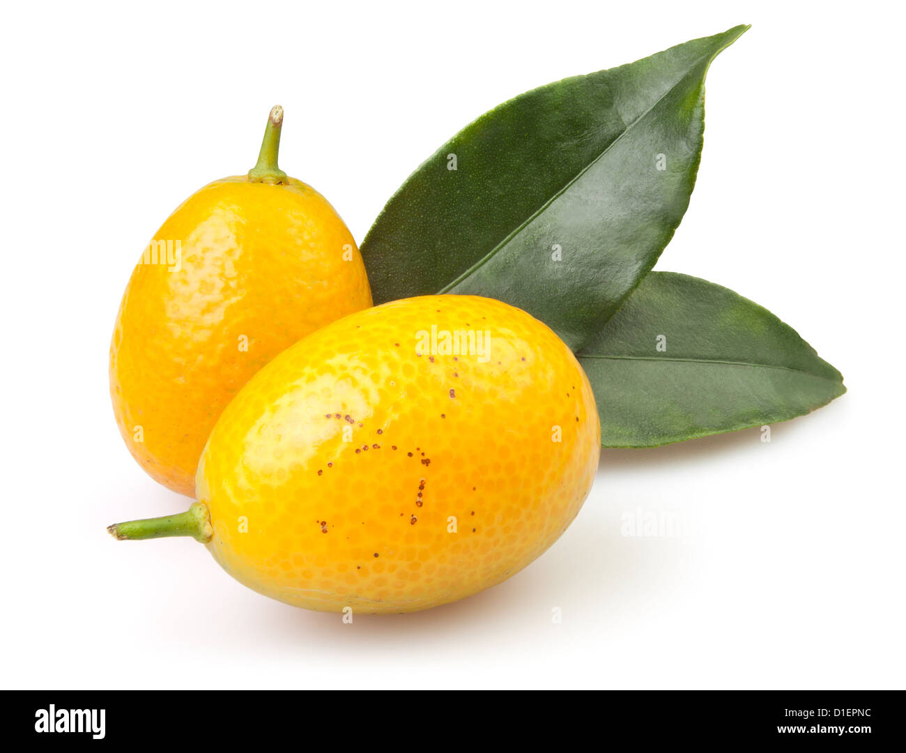 Kumquat citrus hi-res stock photography and images - Alamy