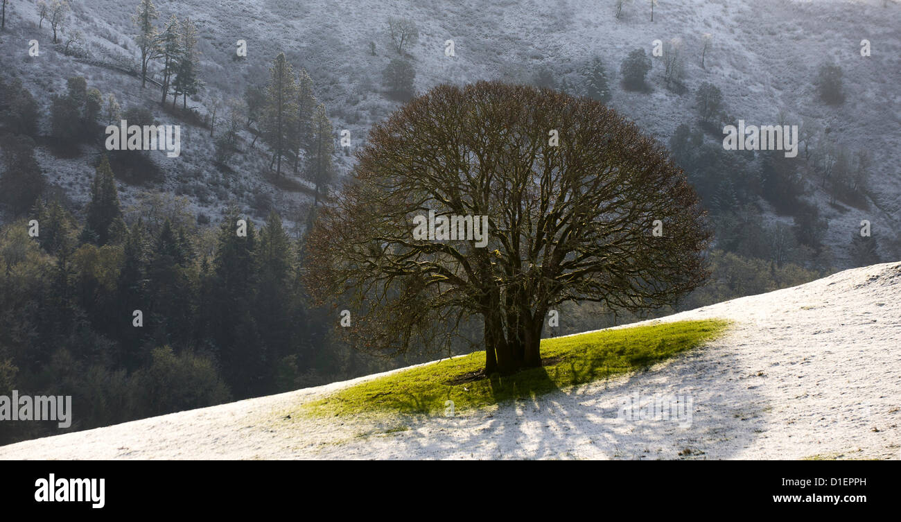 Glide oregon hi-res stock photography and images - Alamy