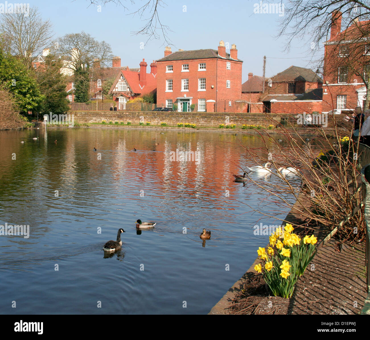 Minster Pool spring scene Lichfield Staffordshire England UK Stock ...