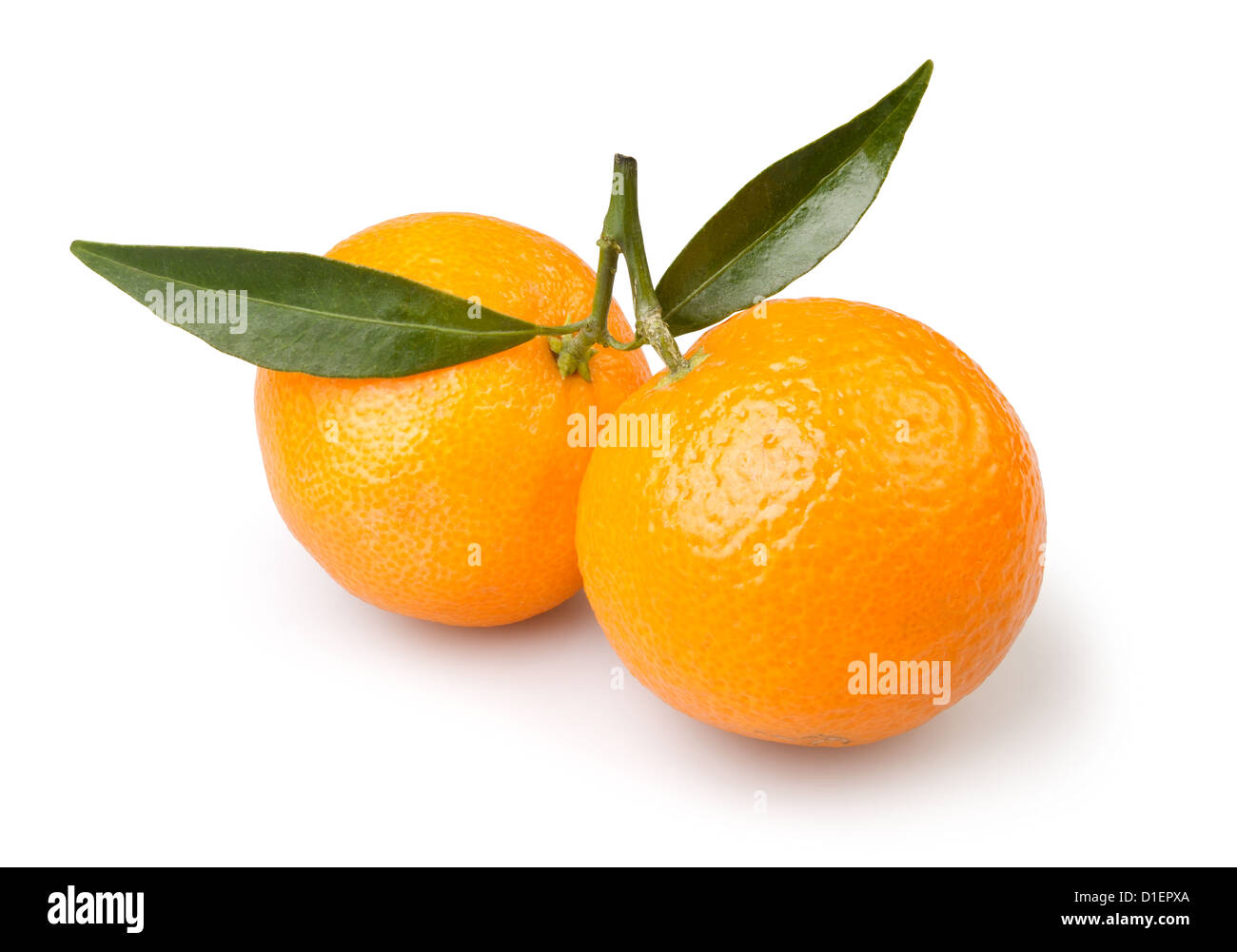 tangerine two on white background Stock Photo - Alamy