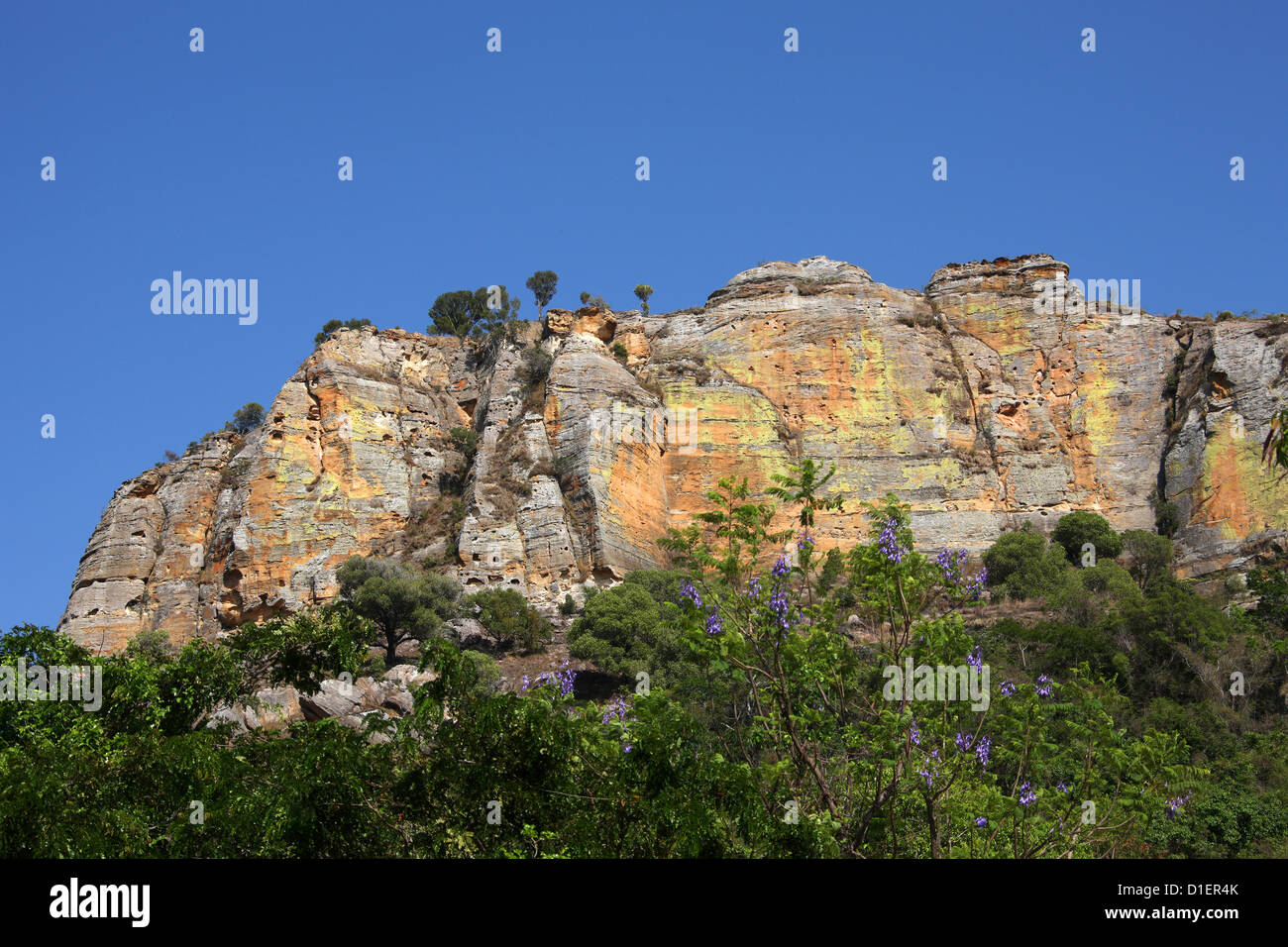 Colourful Lichens Growing on Cliffs, Isalo National Park, Madagascar ...
