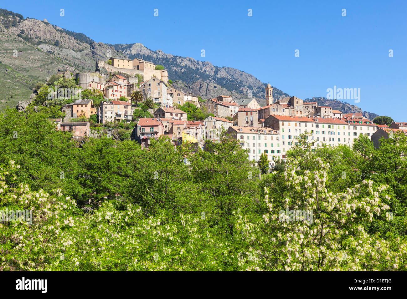 Townscape of Corte in spring, Corsica, France Stock Photo - Alamy