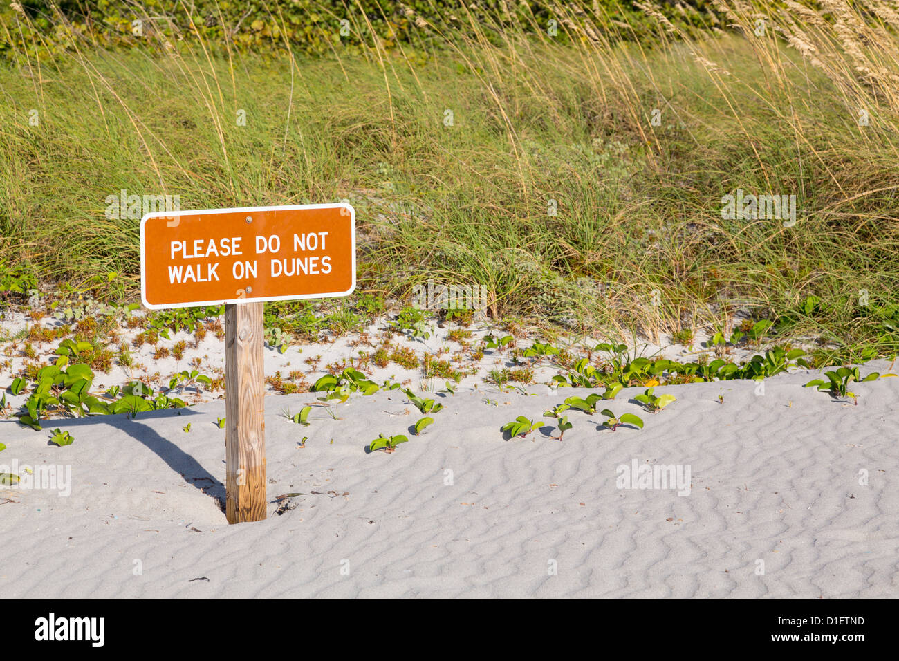 Please do not walk on dunes sign on beach in state park Key Biscayne ...