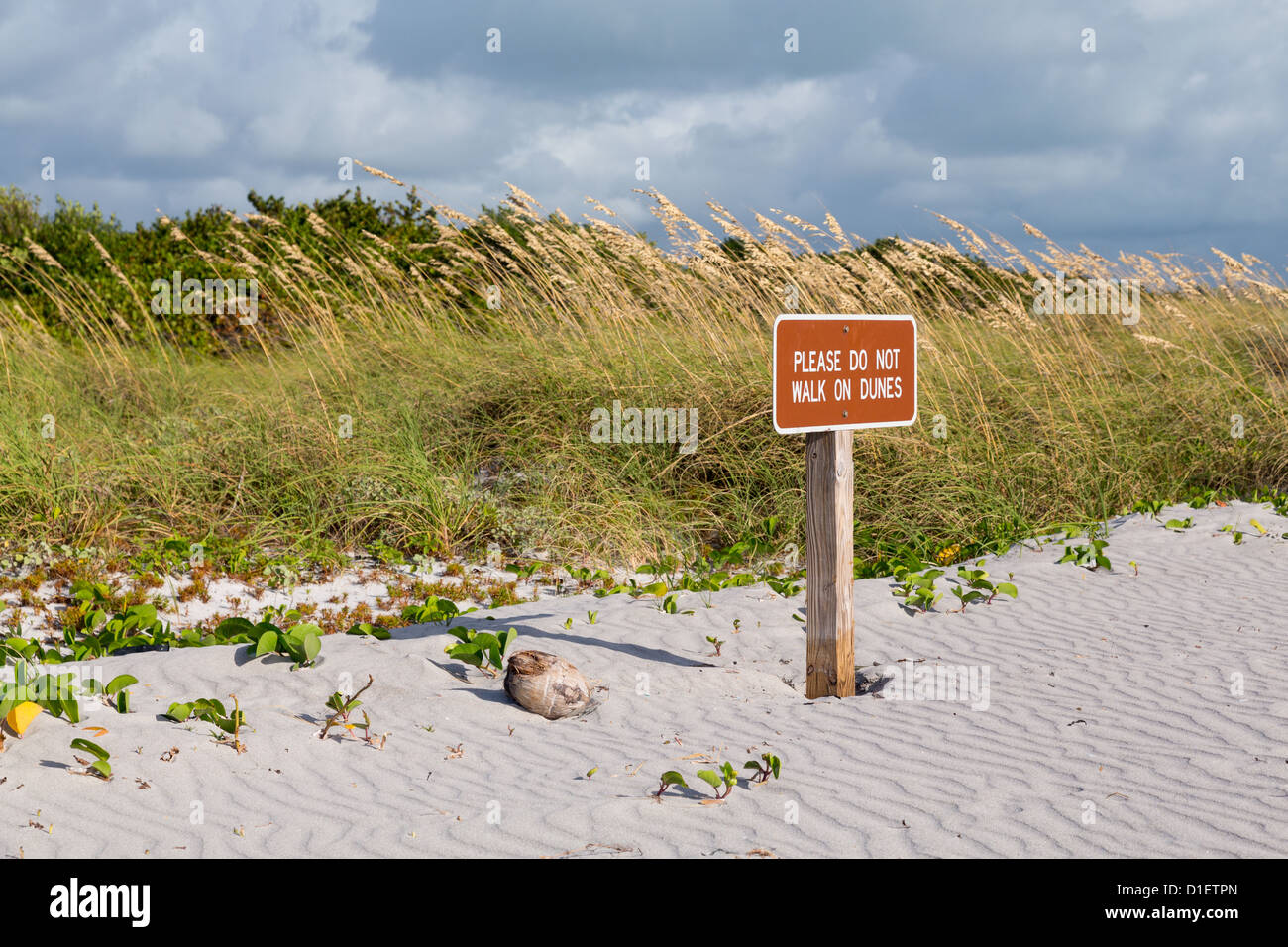 Please do not walk on dunes sign on beach in state park Key Biscayne ...