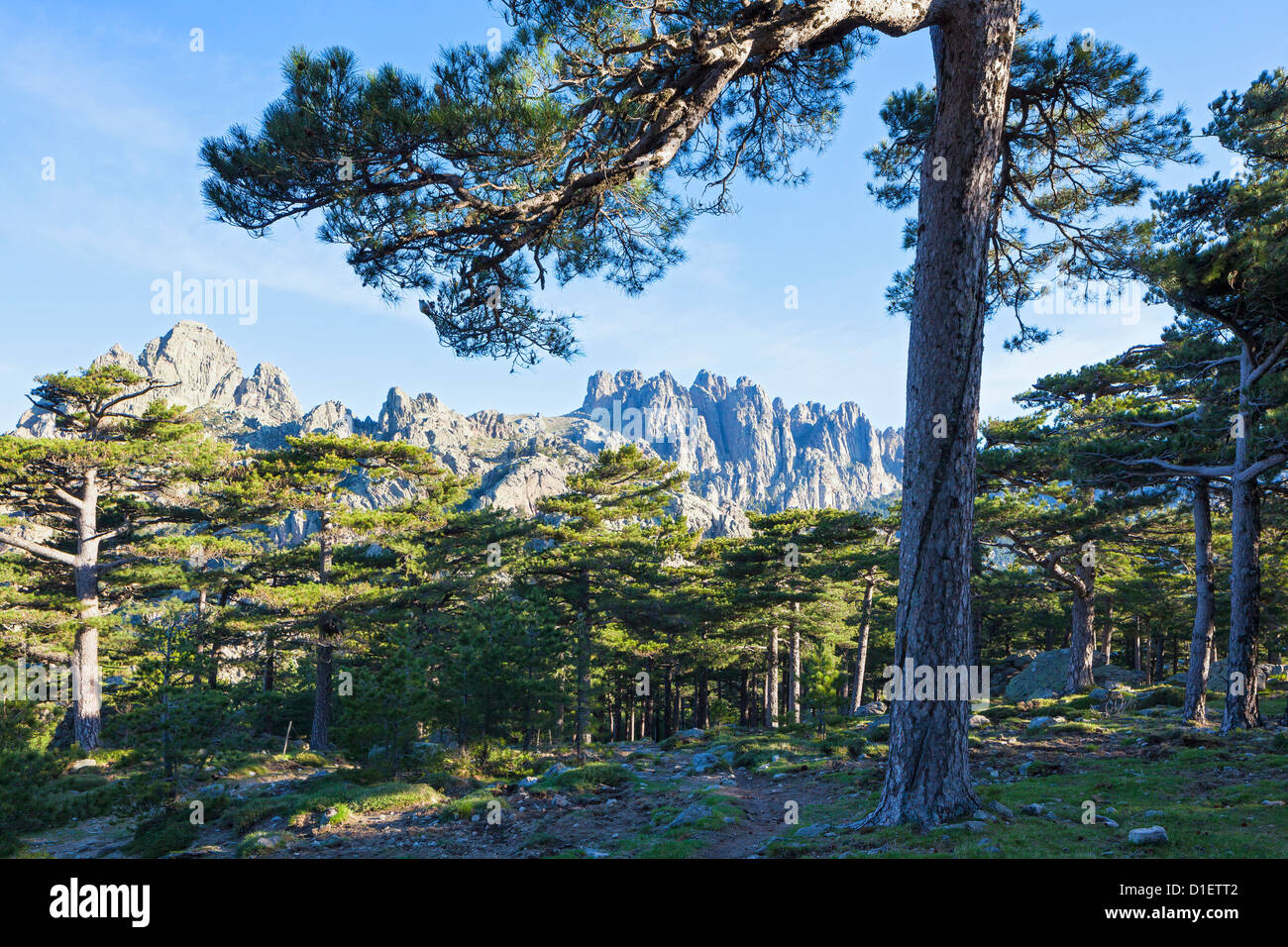Mountainscape at the Col de Bavella, Corsica, France Stock Photo - Alamy