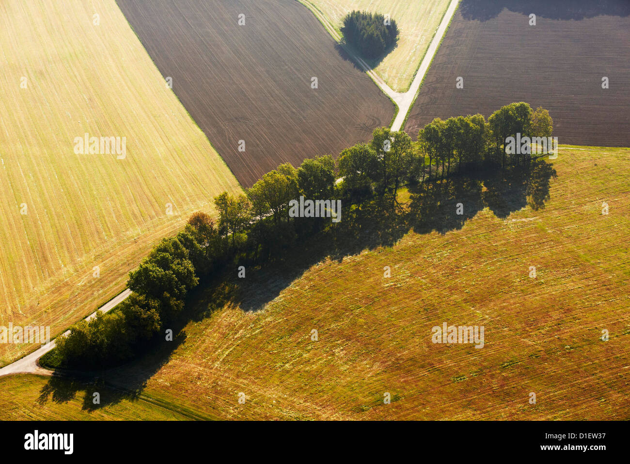 Trees photo landscape hi-res stock photography and images - Alamy