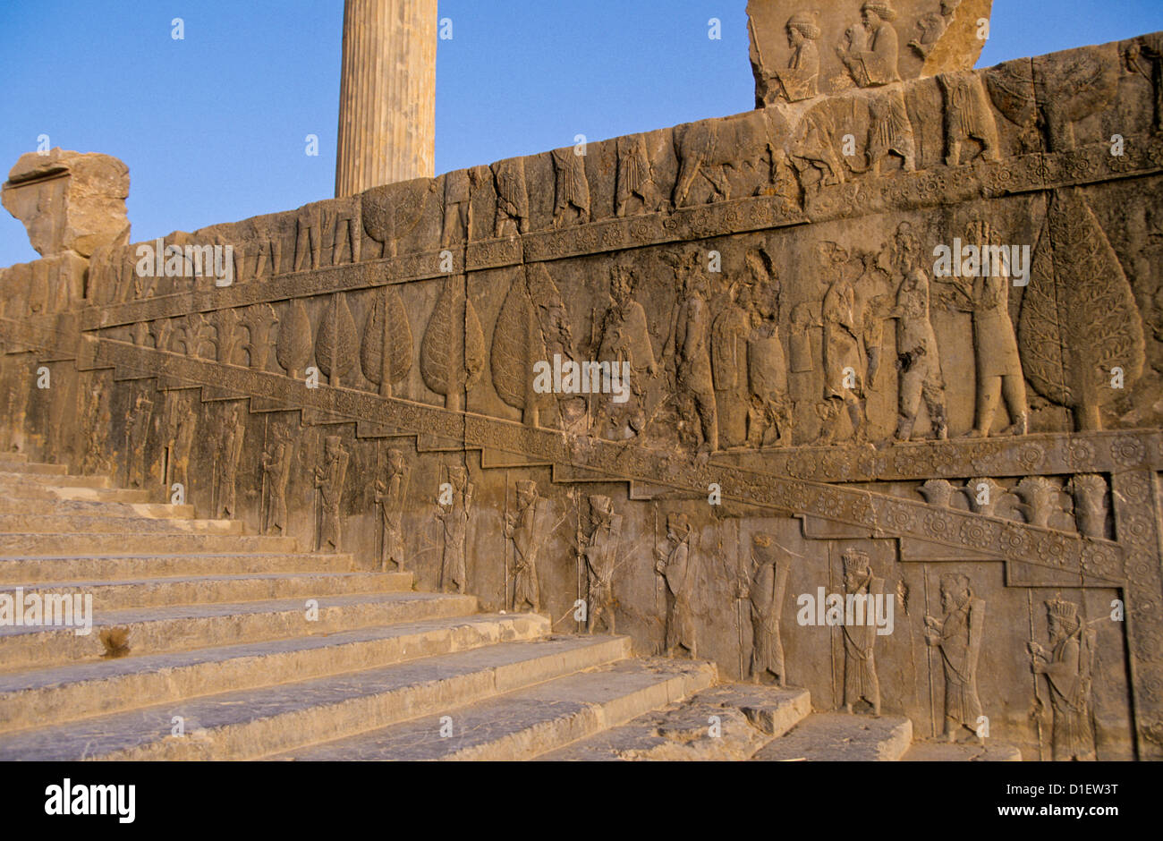 Relief at Apadana. Persepolis. Iran Stock Photo - Alamy