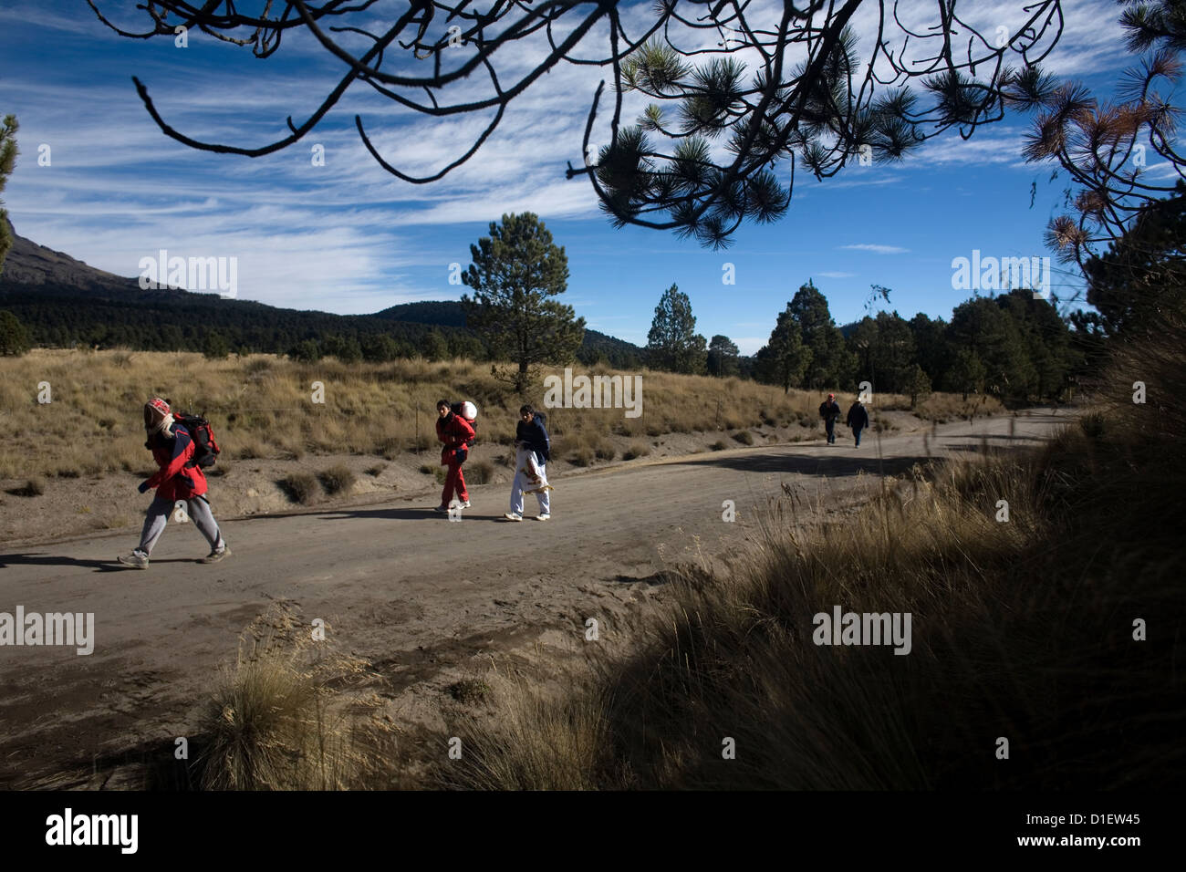 Pilgrims walk through a field in the Paso de Cortes as they travel to ...
