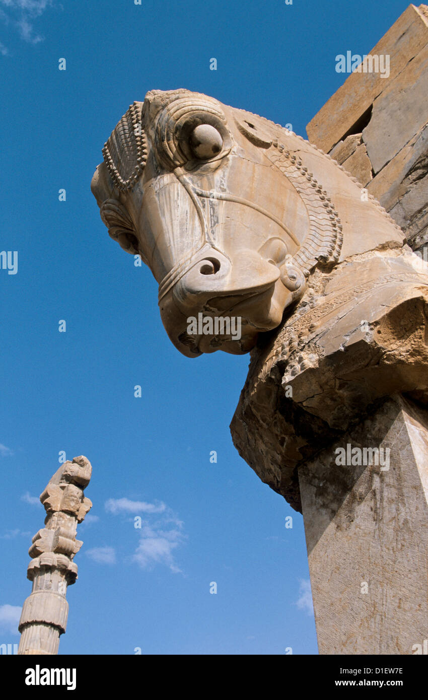 Hundred columns room. Horse's head. Persepolis. Iran Stock Photo - Alamy