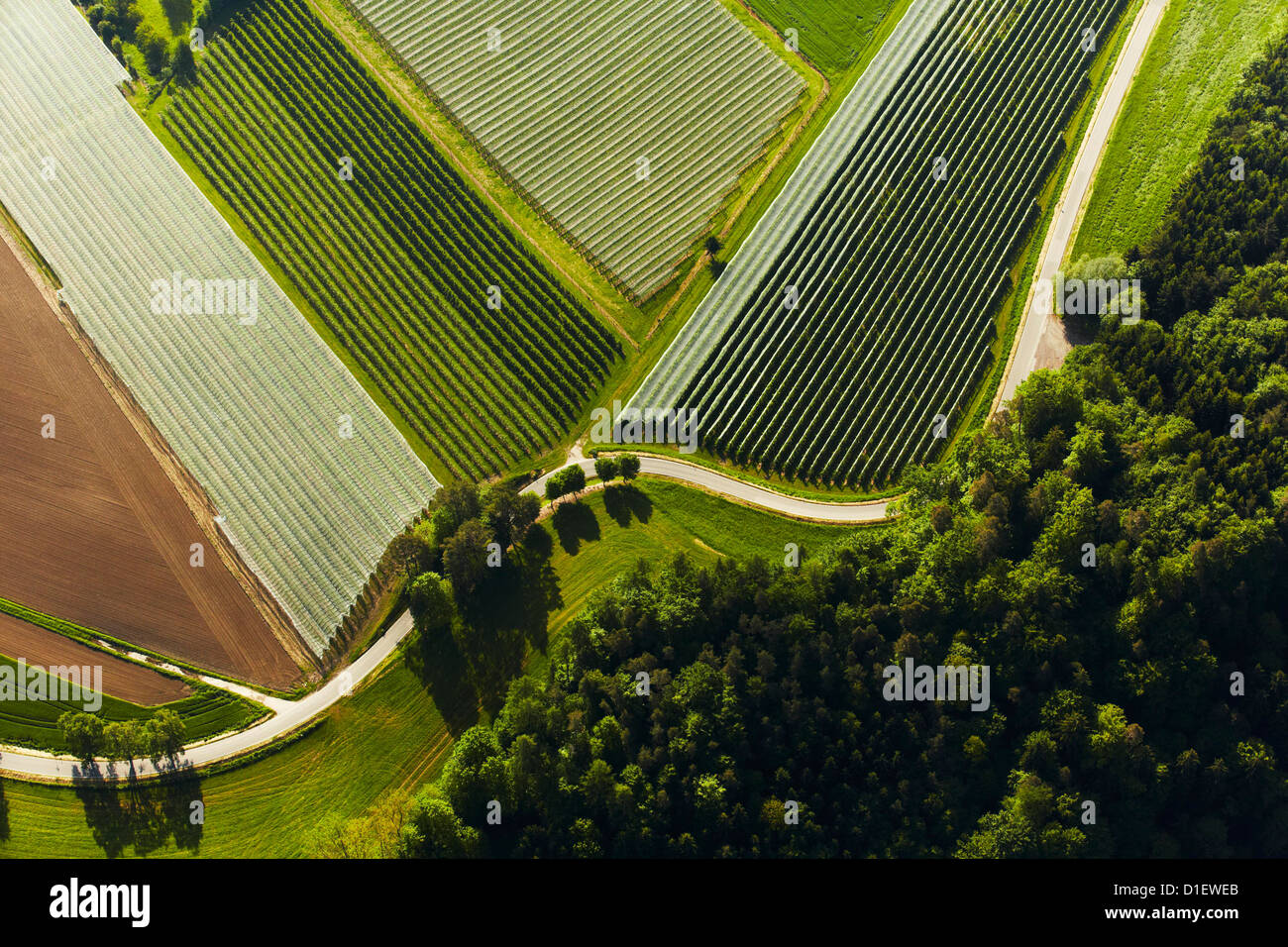 Germany edge forest view hi-res stock photography and images - Alamy
