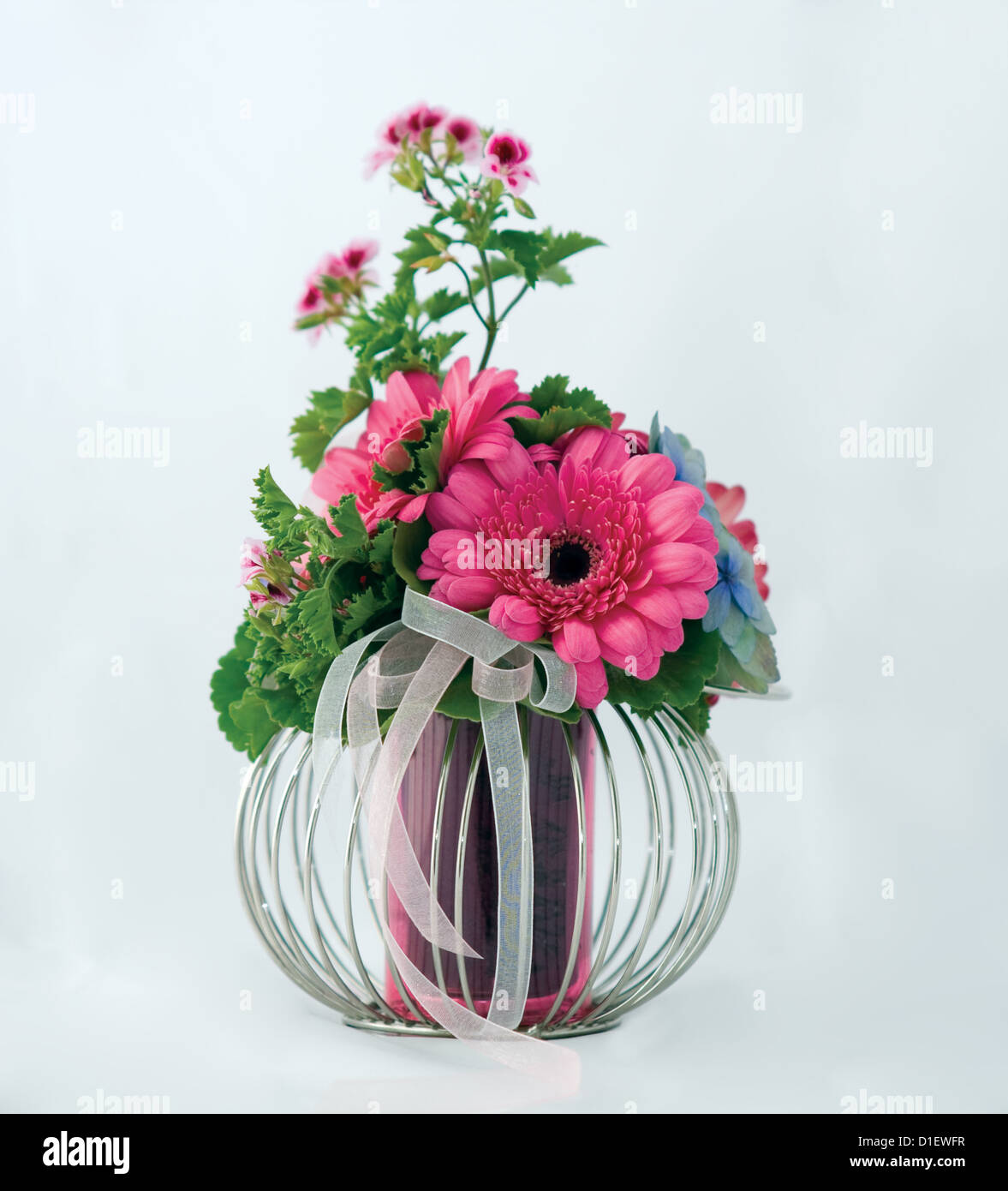 Abstract composition with flowers isolated on white background Stock ...