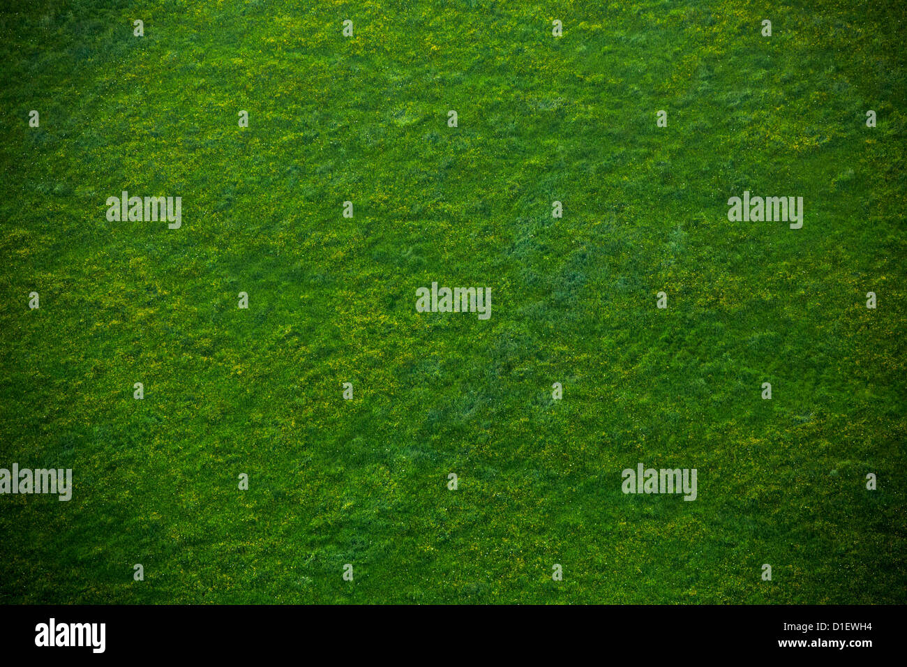 Aerial photo of flowers hi-res stock photography and images - Alamy