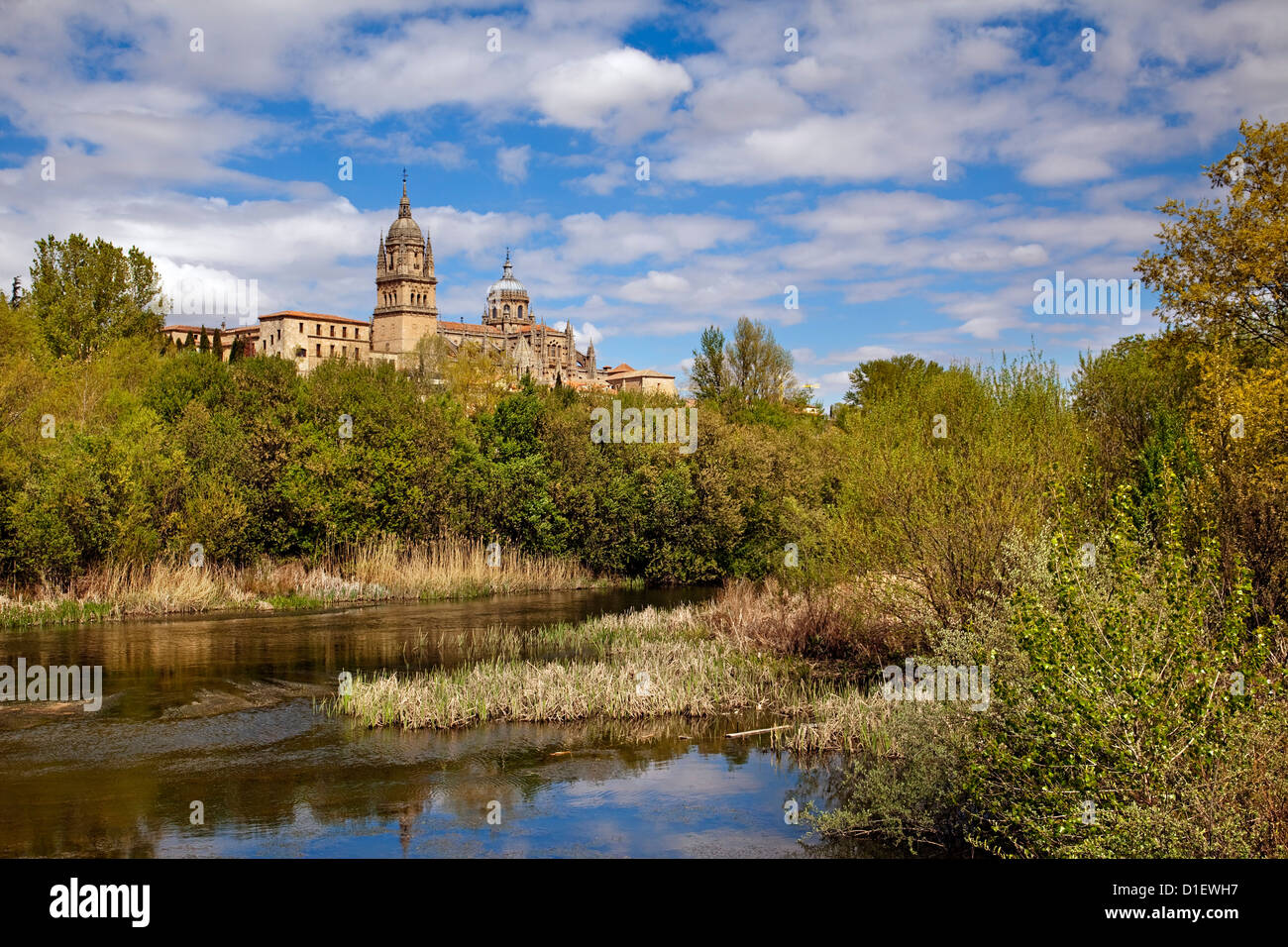Tormes River and Cathedral Salamanca Castilla Leon Spain Stock Photo ...
