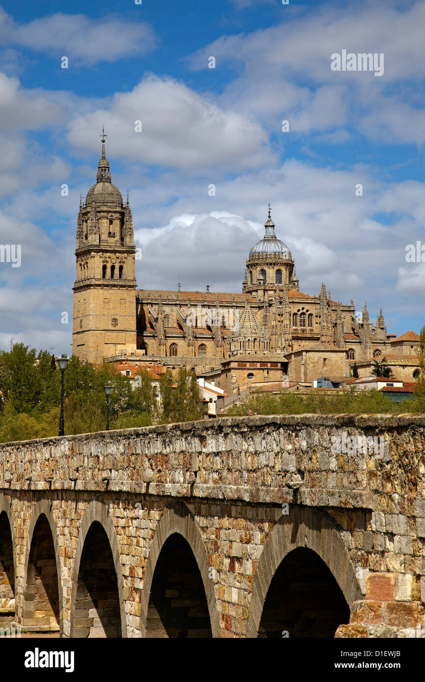 Roman bridge cathedral salamanca spain hi-res stock photography and ...