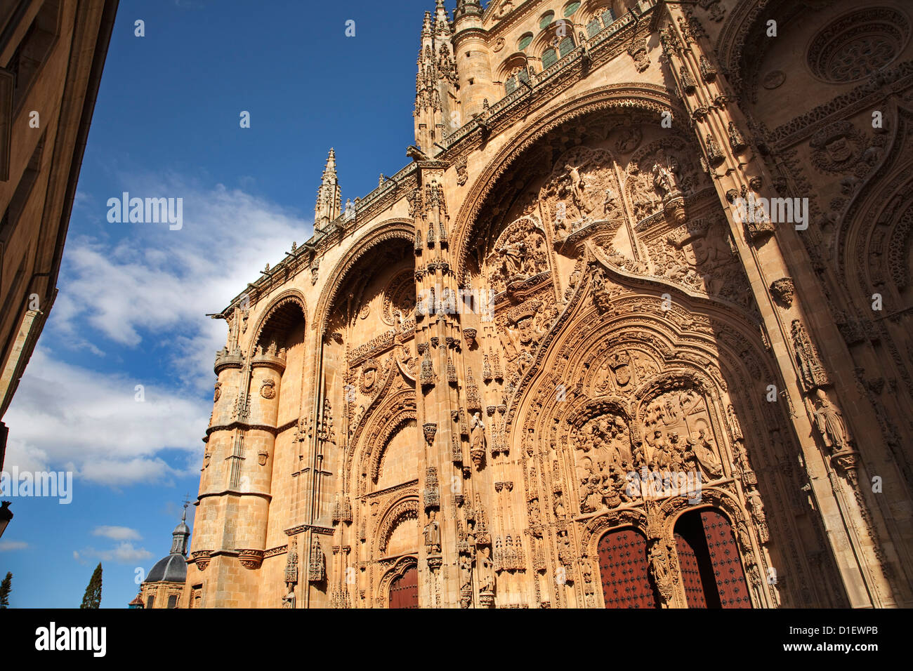 Cathedral Salamanca Castilla Leon Spain Stock Photo - Alamy