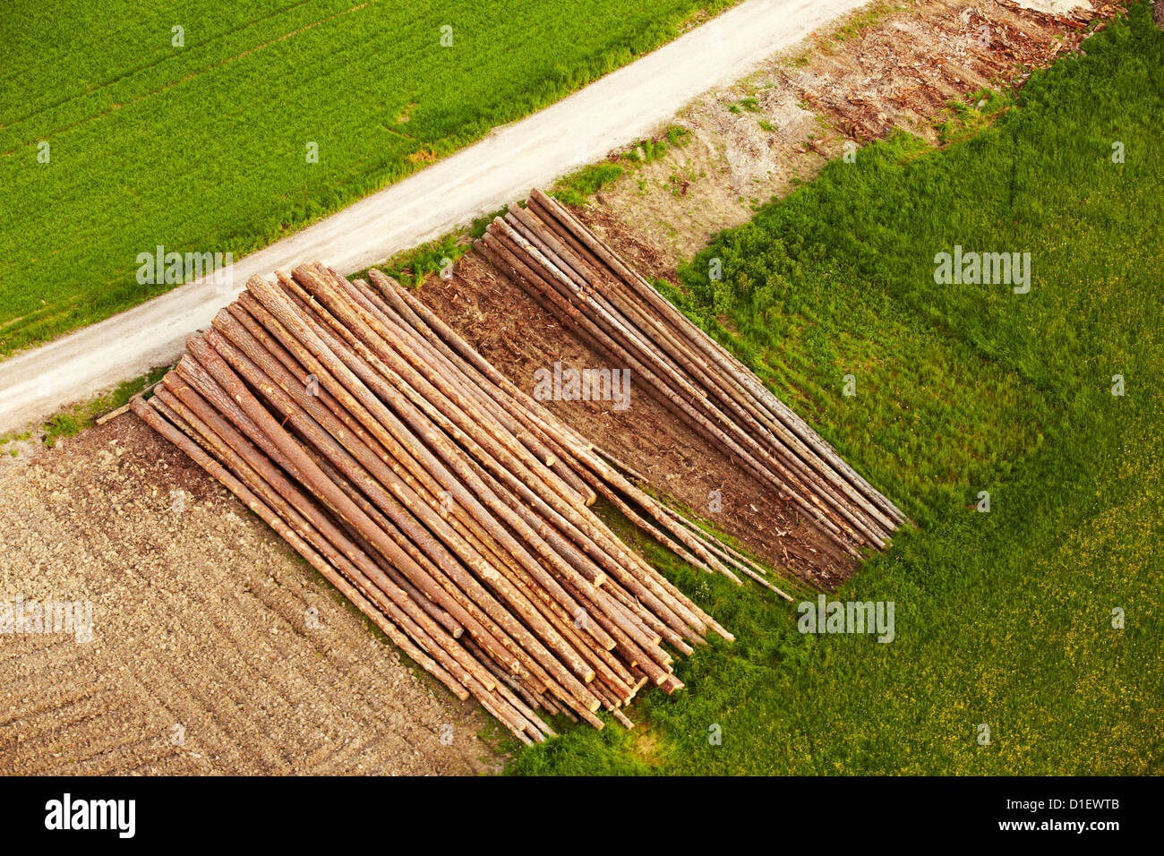 Aerial view of pile of wood hi-res stock photography and images - Alamy