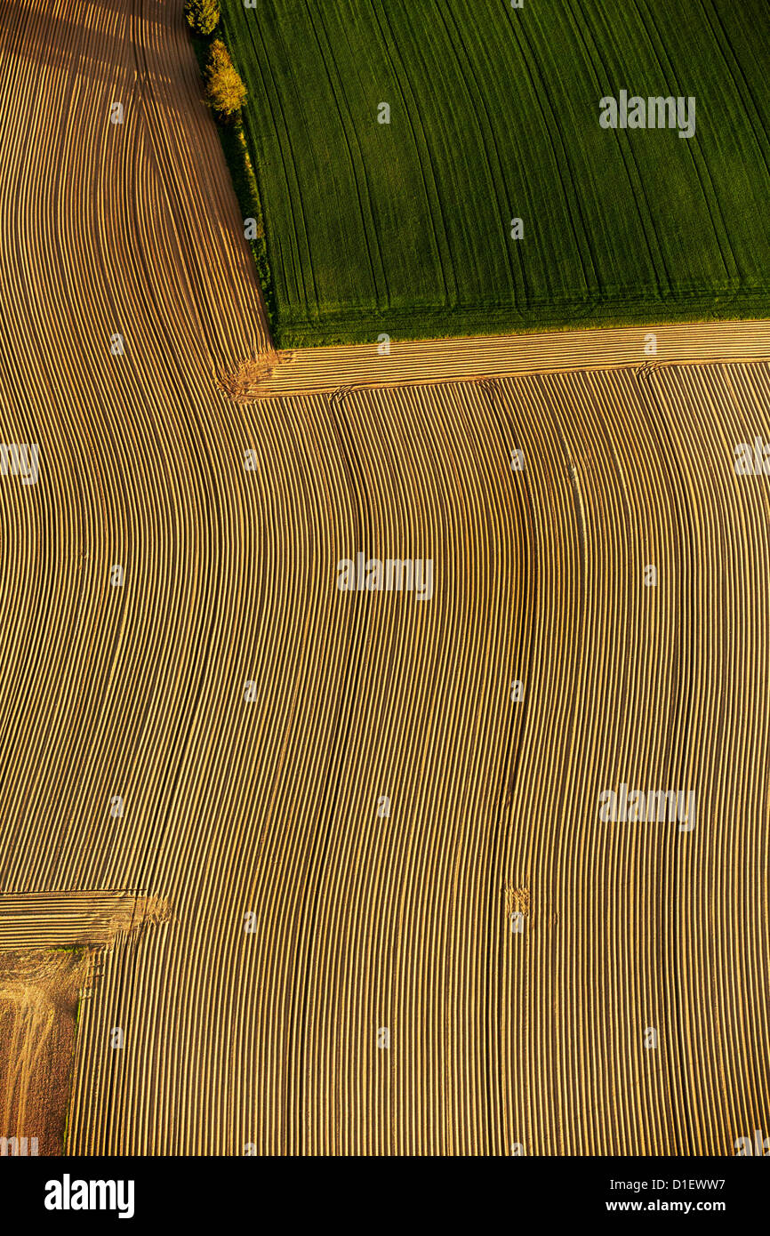 Line and pattern hi-res stock photography and images - Alamy