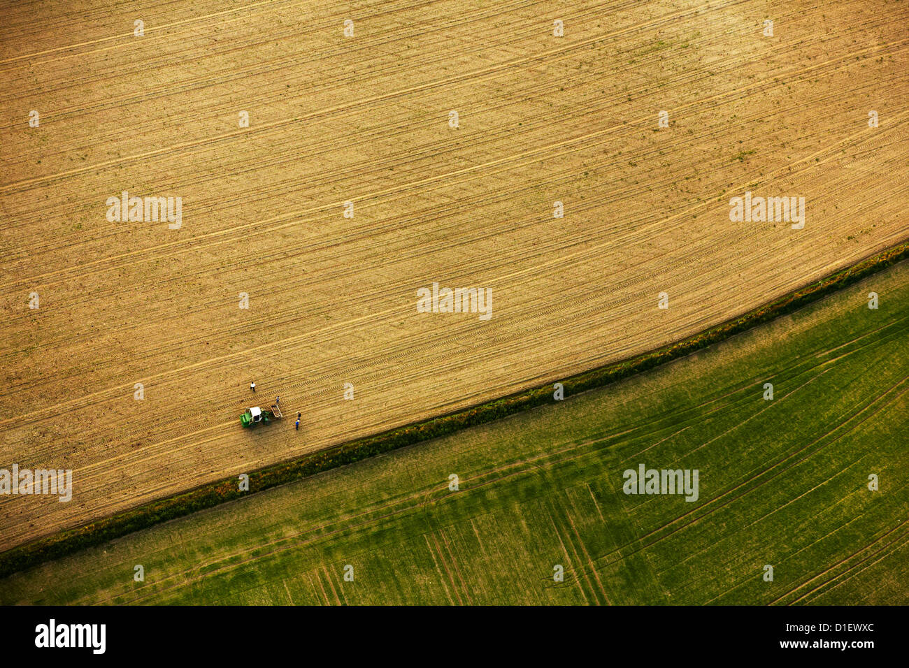 Field workers gathering stones from aerial photo Stock Photo - Alamy