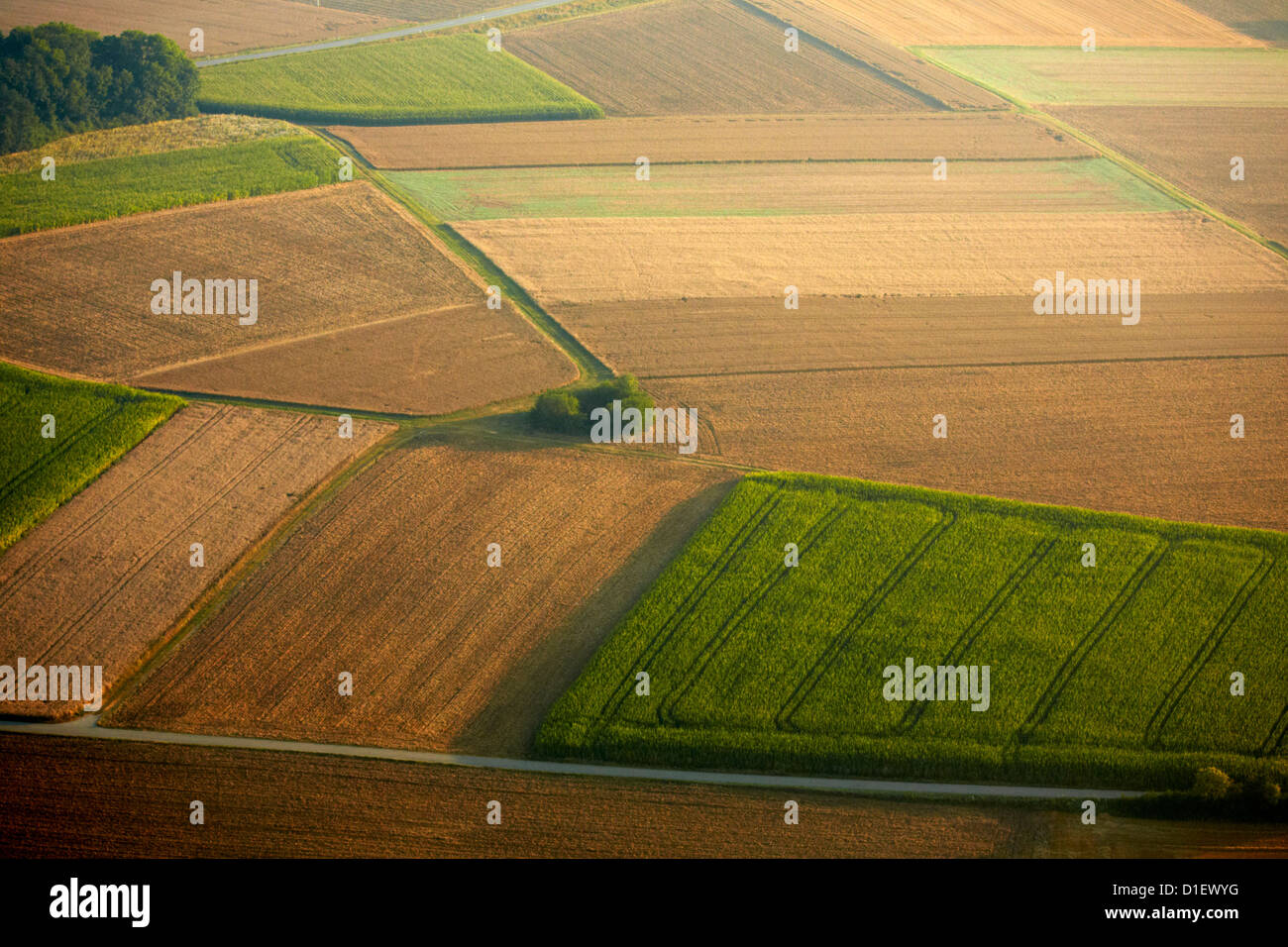 Path in the fields hi-res stock photography and images - Alamy