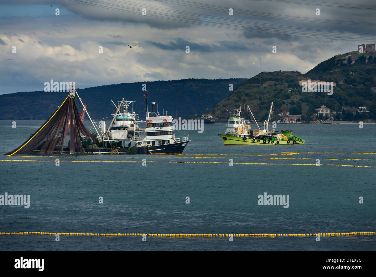 Purse seiner fishing boat hi-res stock photography and images - Alamy