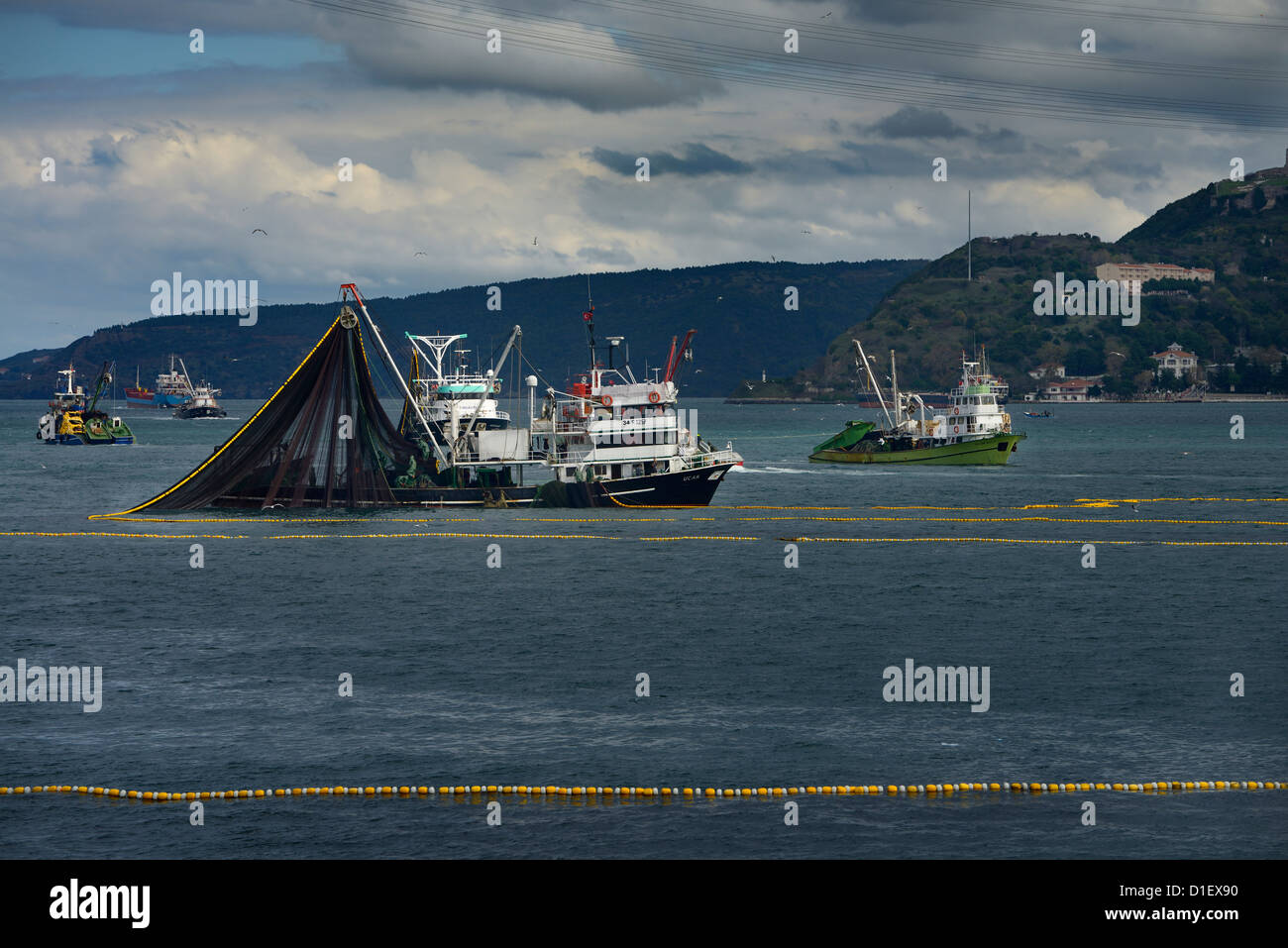 Purse Seine fishing boats on the Bosphorus Strait Yeni Mahalle Sariyer ...